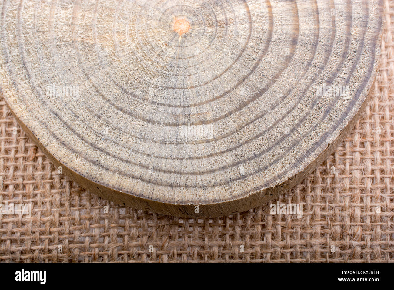 Wood Log cut in round thin pieces in view Stock Photo - Alamy