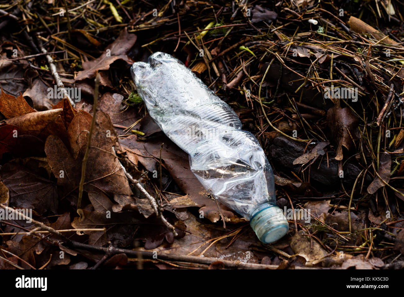 Waste and rubbish in the forest. Plastic bottles, cans and glass in the ...