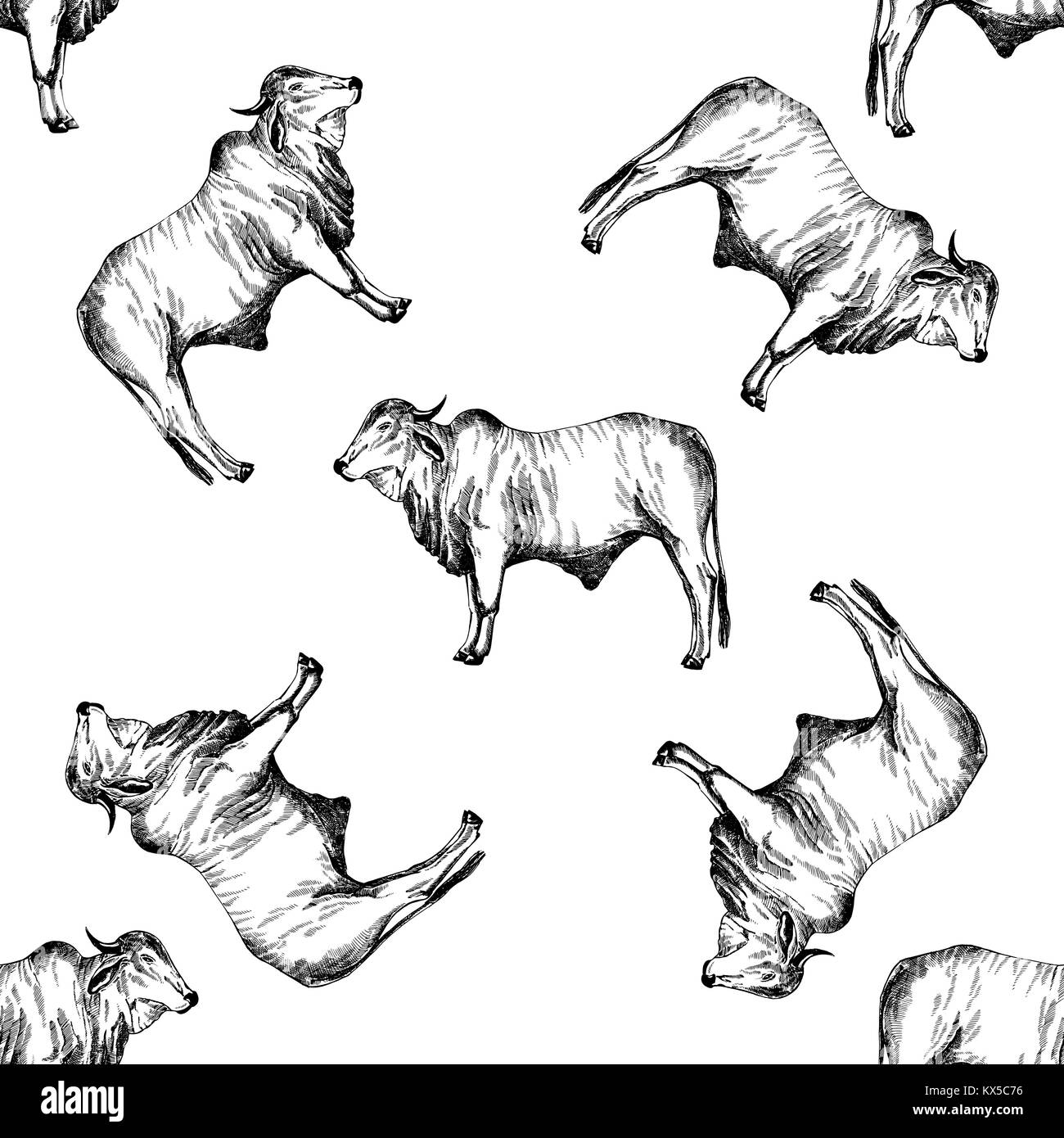Seamless pattern of hand drawn sketch style zebu cattle. Vector ...