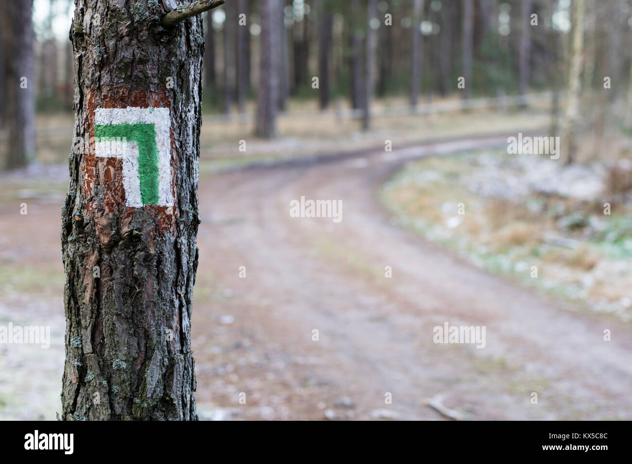 Marking of the tourist route. A tourist road sign on the bark of a pine ...