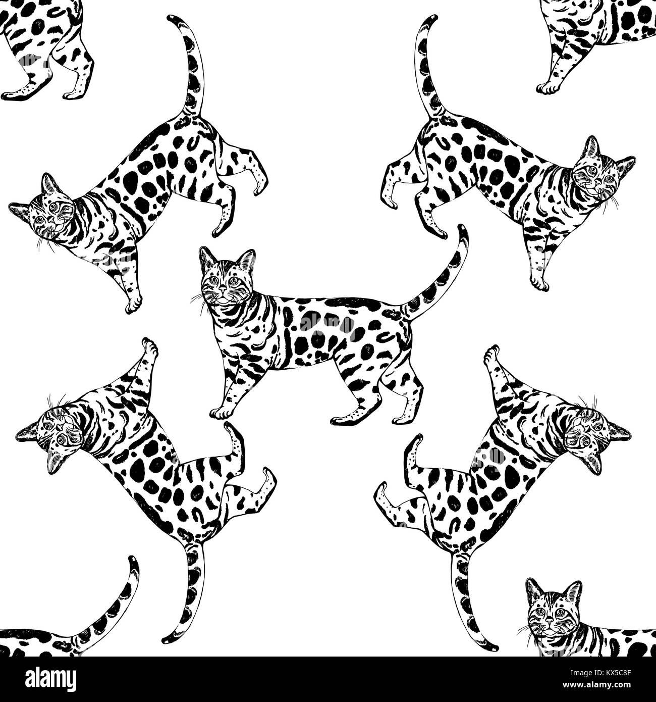 Seamless pattern of hand drawn sketch style bengal cats. Vector ...