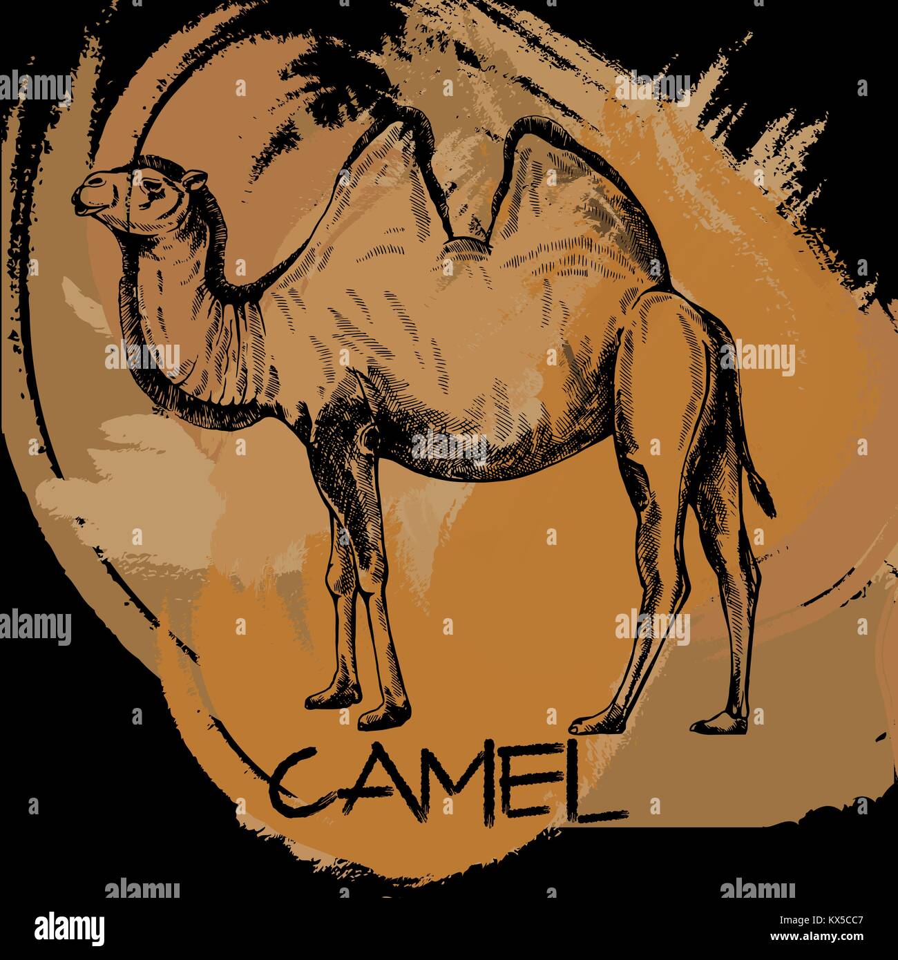 China camel art Stock Vector Images - Alamy