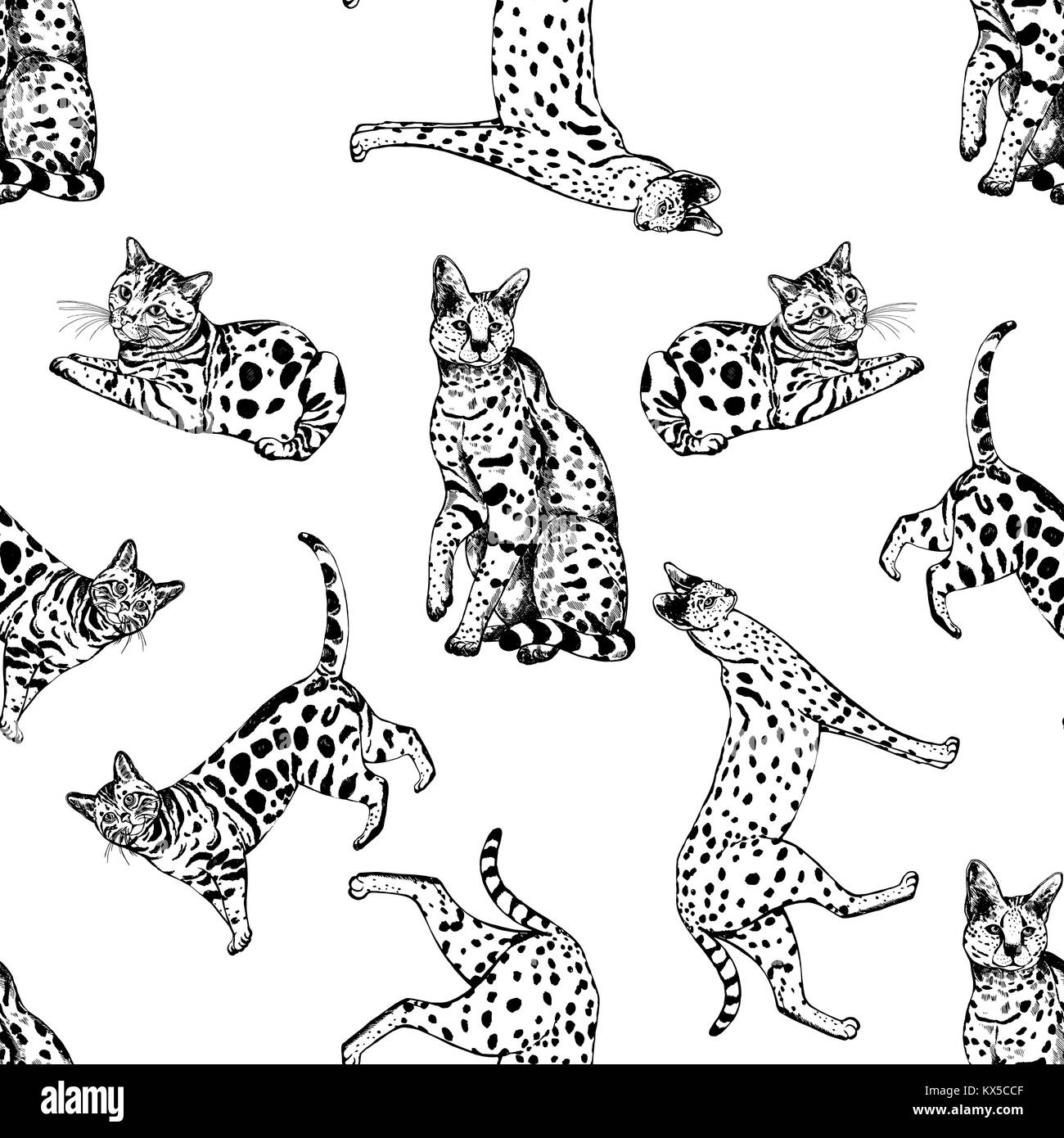 Black serval Stock Vector Images - Alamy