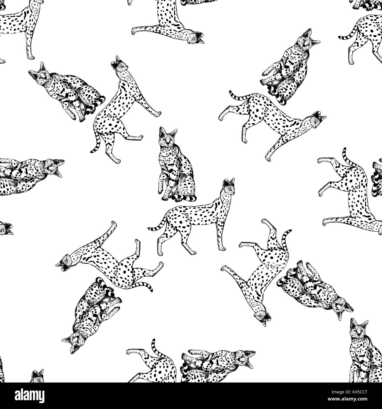 Seamless pattern of hand drawn sketch style servals. Vector ...