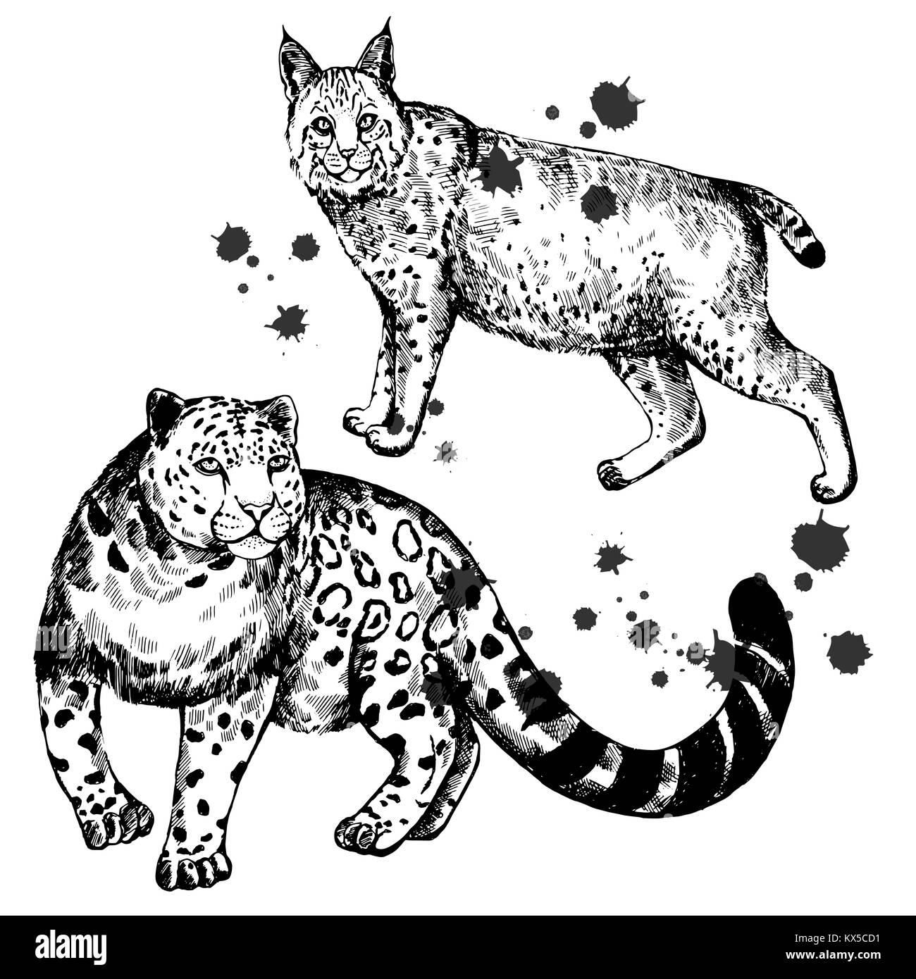 Hand drawn sketch style lynx and snow leopard. Vector illustration ...