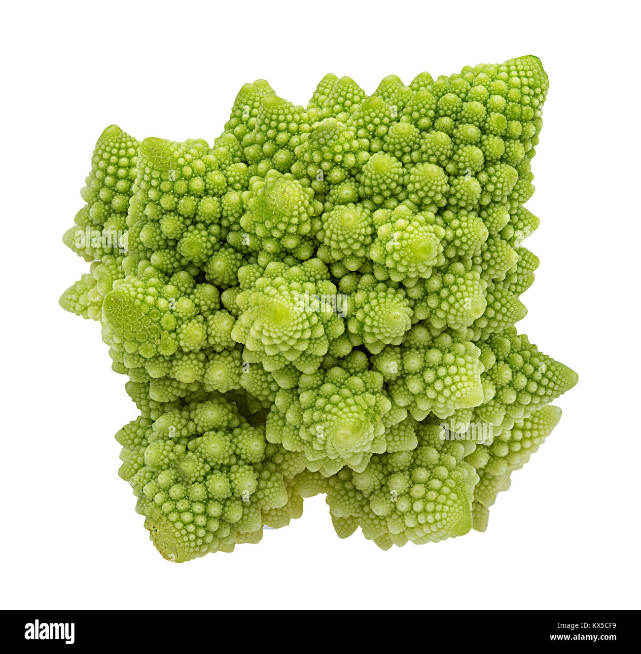 Roman cauliflower isolated on white background with clipping path Stock ...
