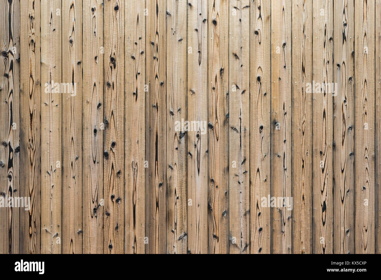weathered beautiful pattern pine wood plank wall texture with nail head ...