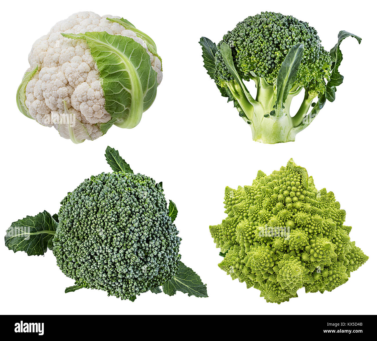 cabbage collection isolated on white background Stock Photo - Alamy