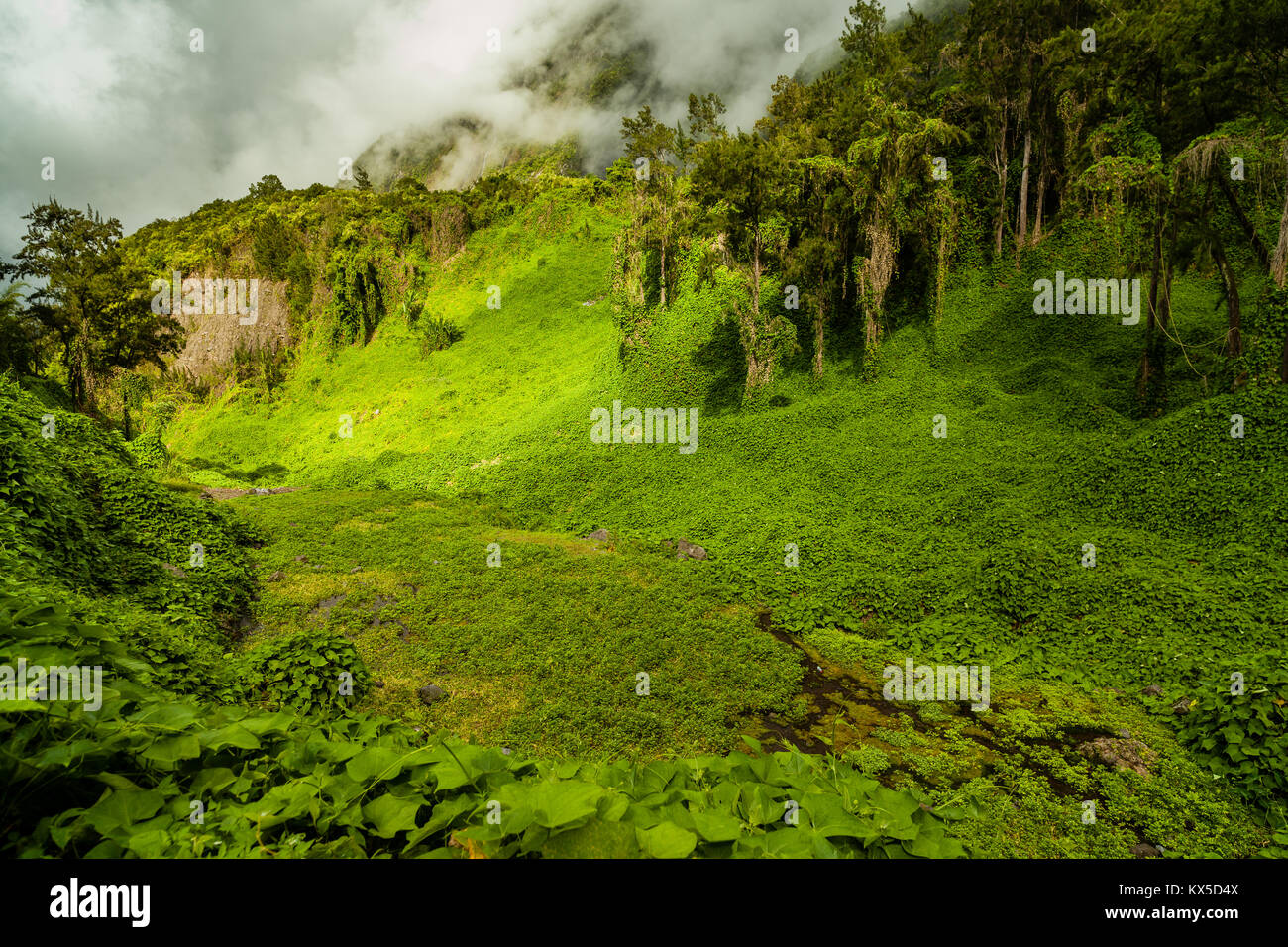 Ile de la reunion hi-res stock photography and images - Alamy