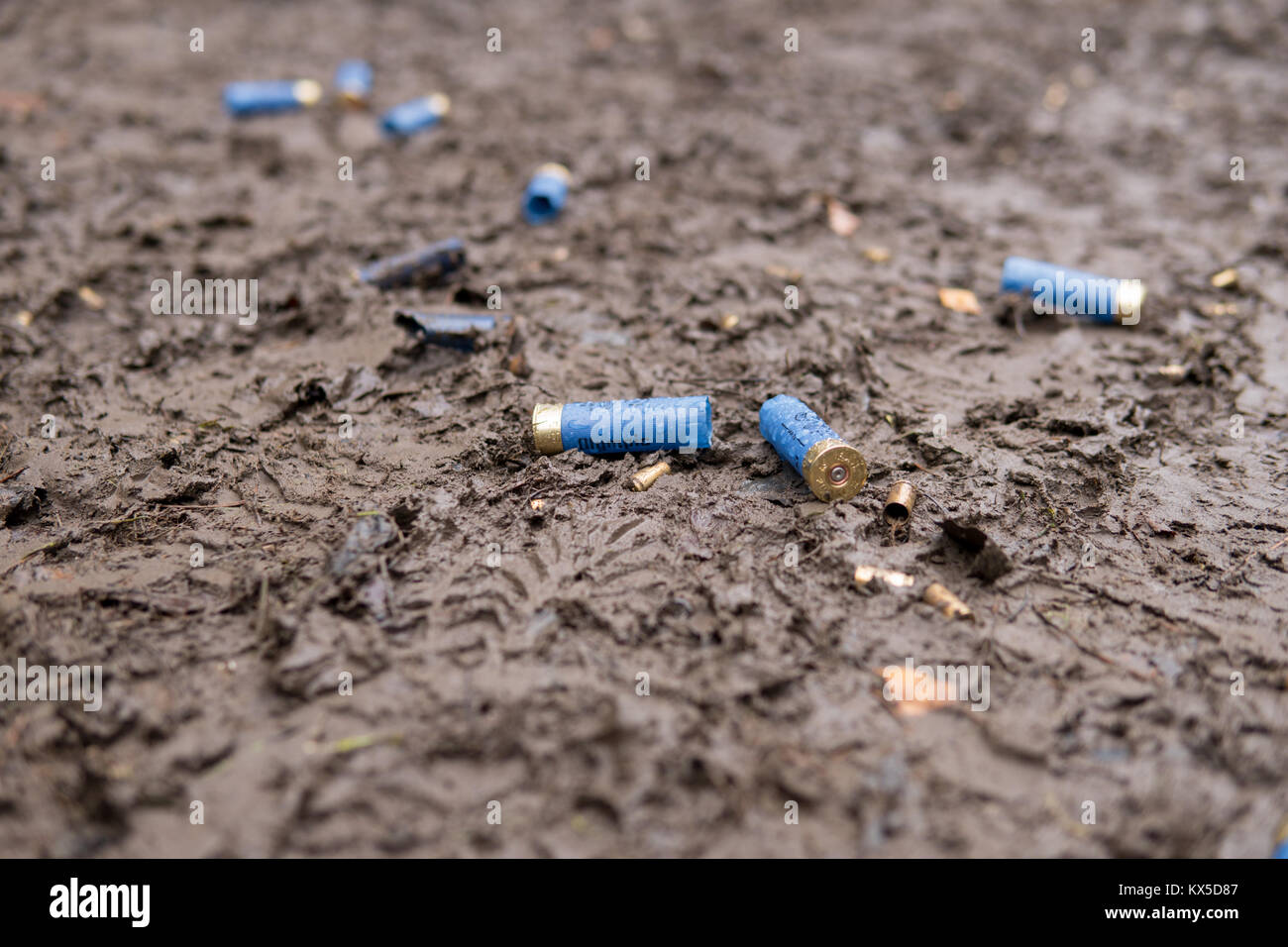 close up of blue shells of ammunition lying on the ground Stock Photo ...