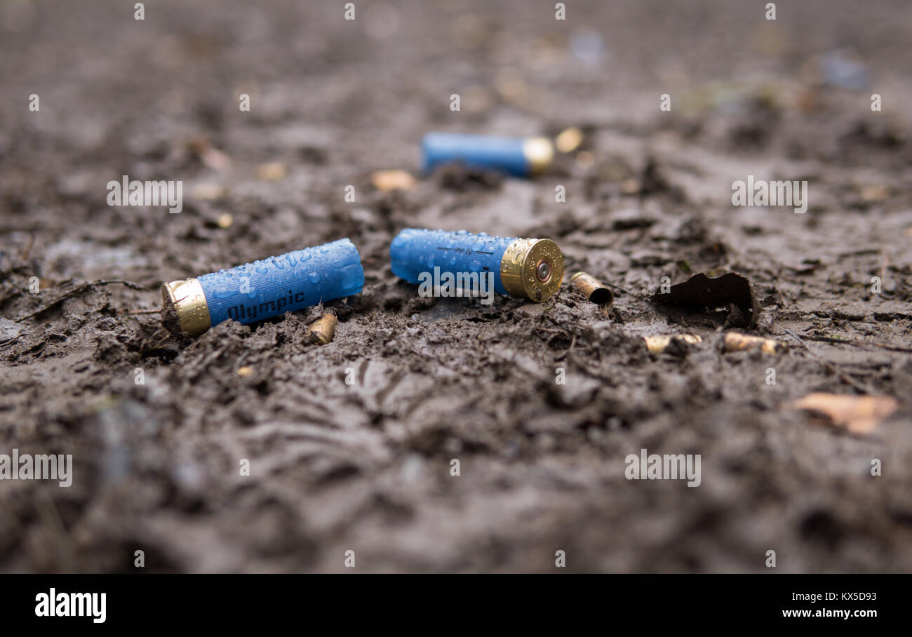 close up of blue shells of ammunition lying on the ground Stock Photo ...