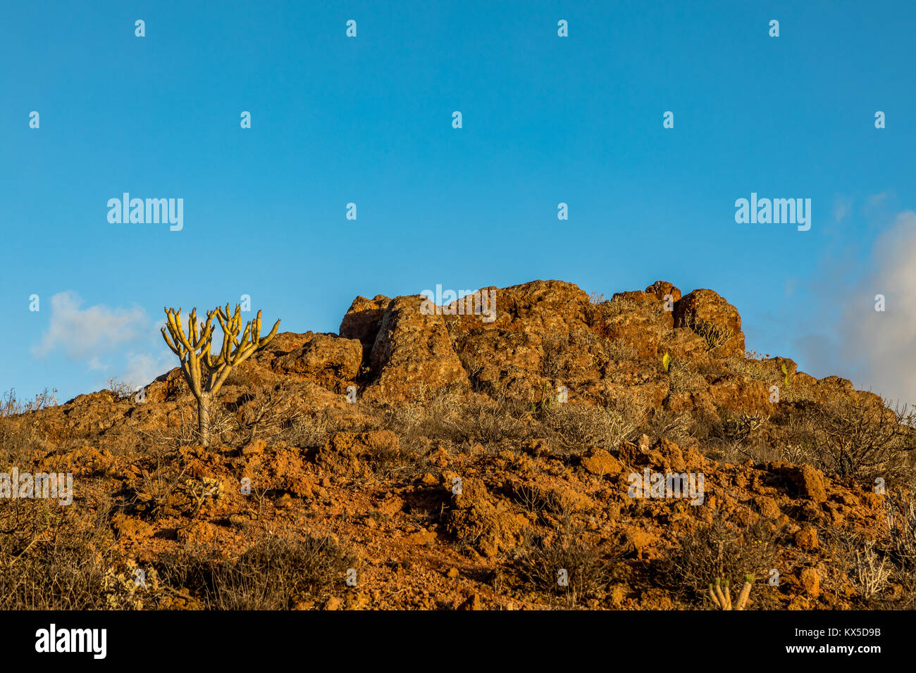 Mountain Peak with cactus vegetation, at Astronomic Observatory in ...