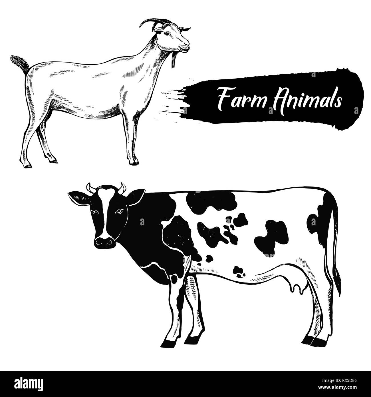 Hand drawn sketch style goat and cow. Vector illustration isolated on ...
