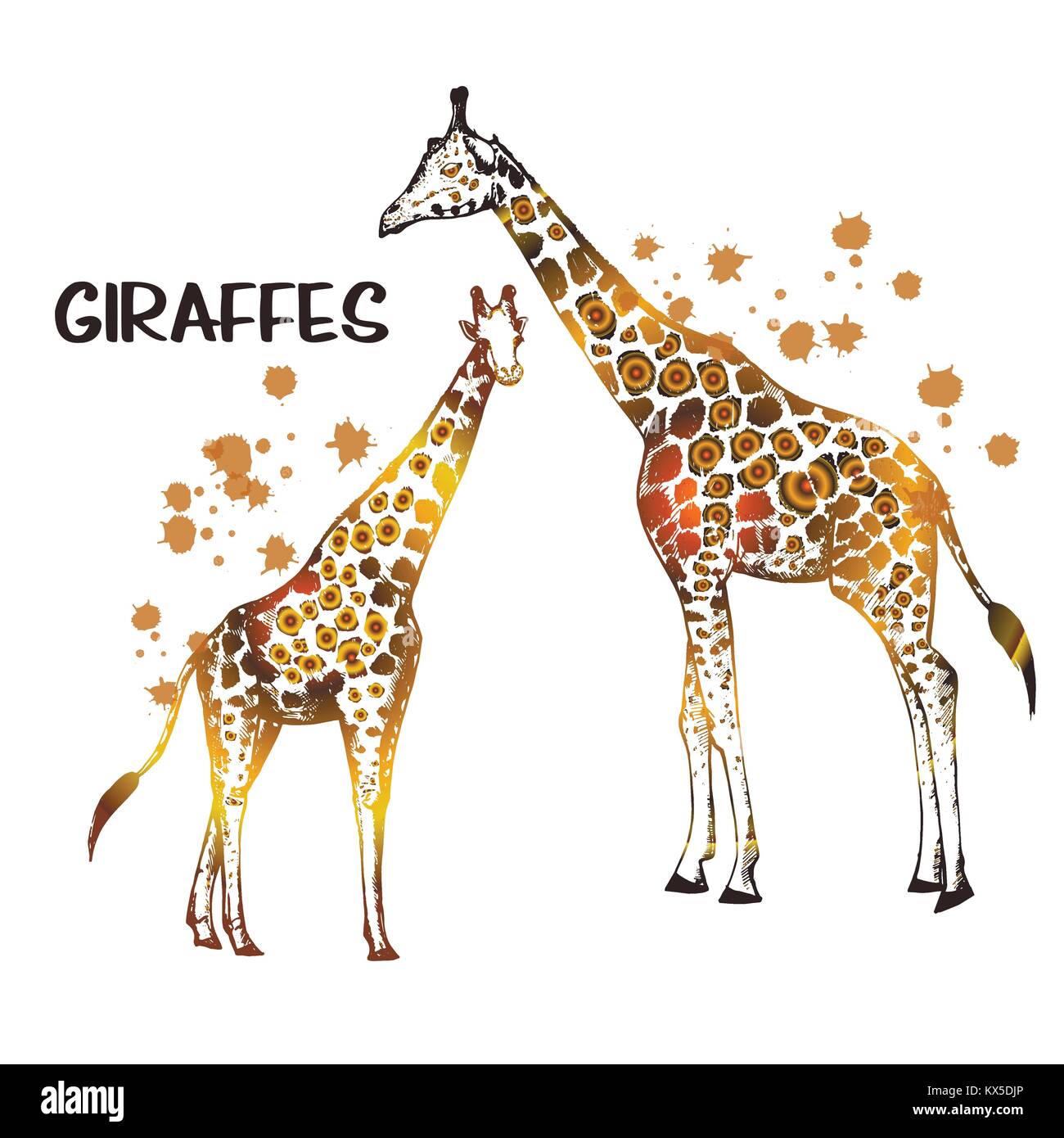 Hand drawn sketch set of giraffes. Vector illustration isolated on ...