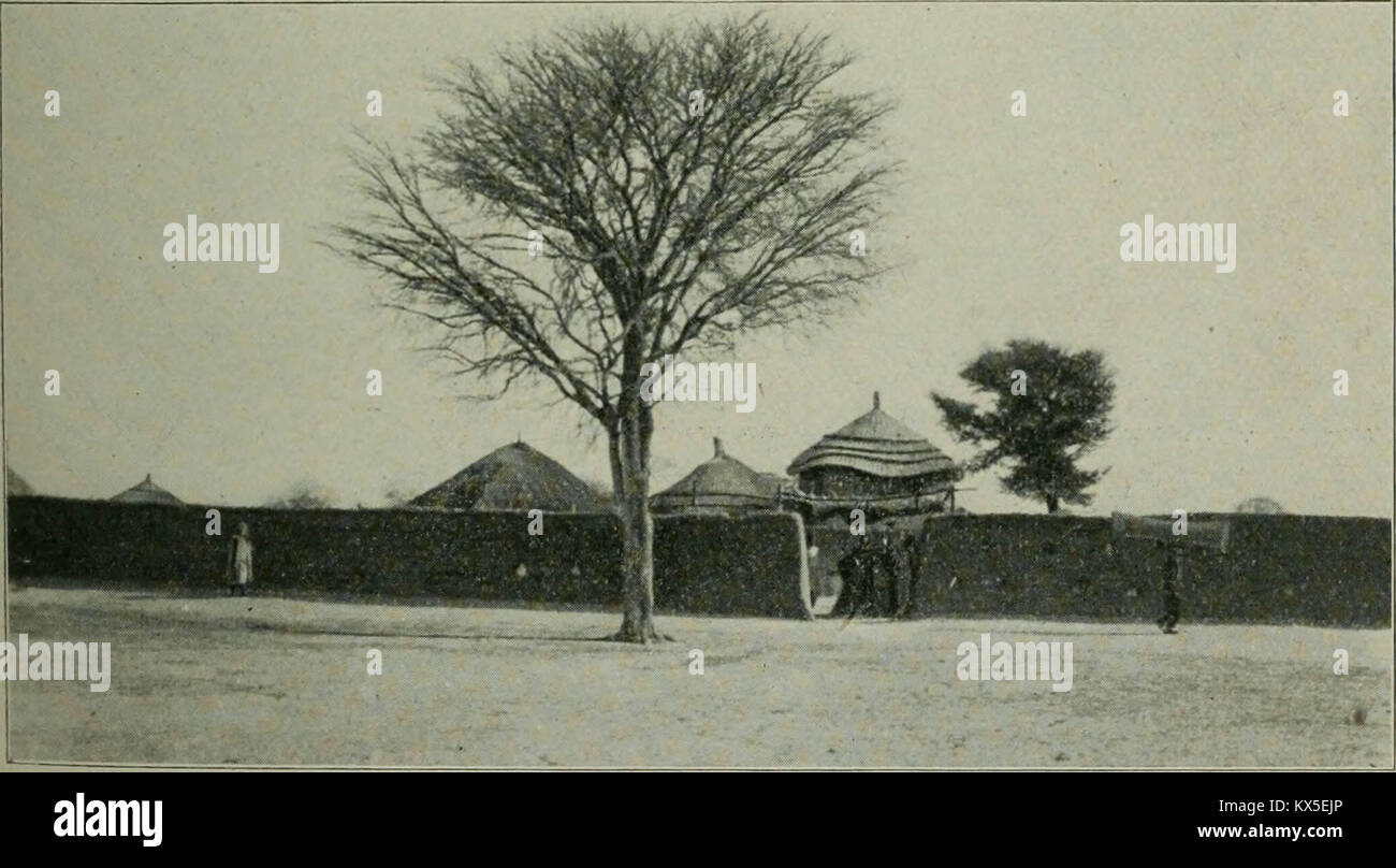 "From the Congo to the Niger and the Nile : an account of The German ...