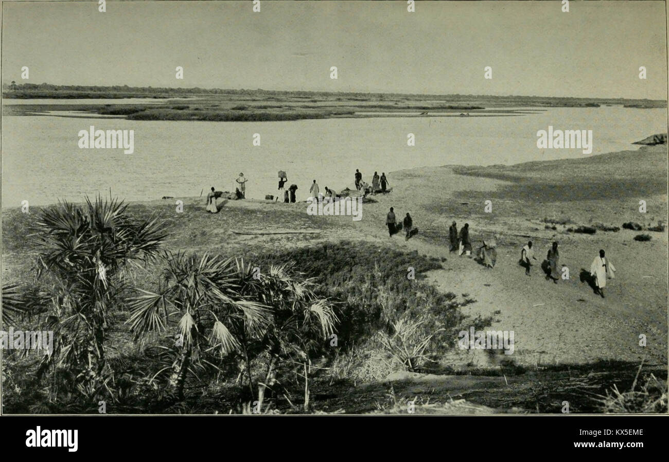 "From the Congo to the Niger and the Nile : an account of The German ...