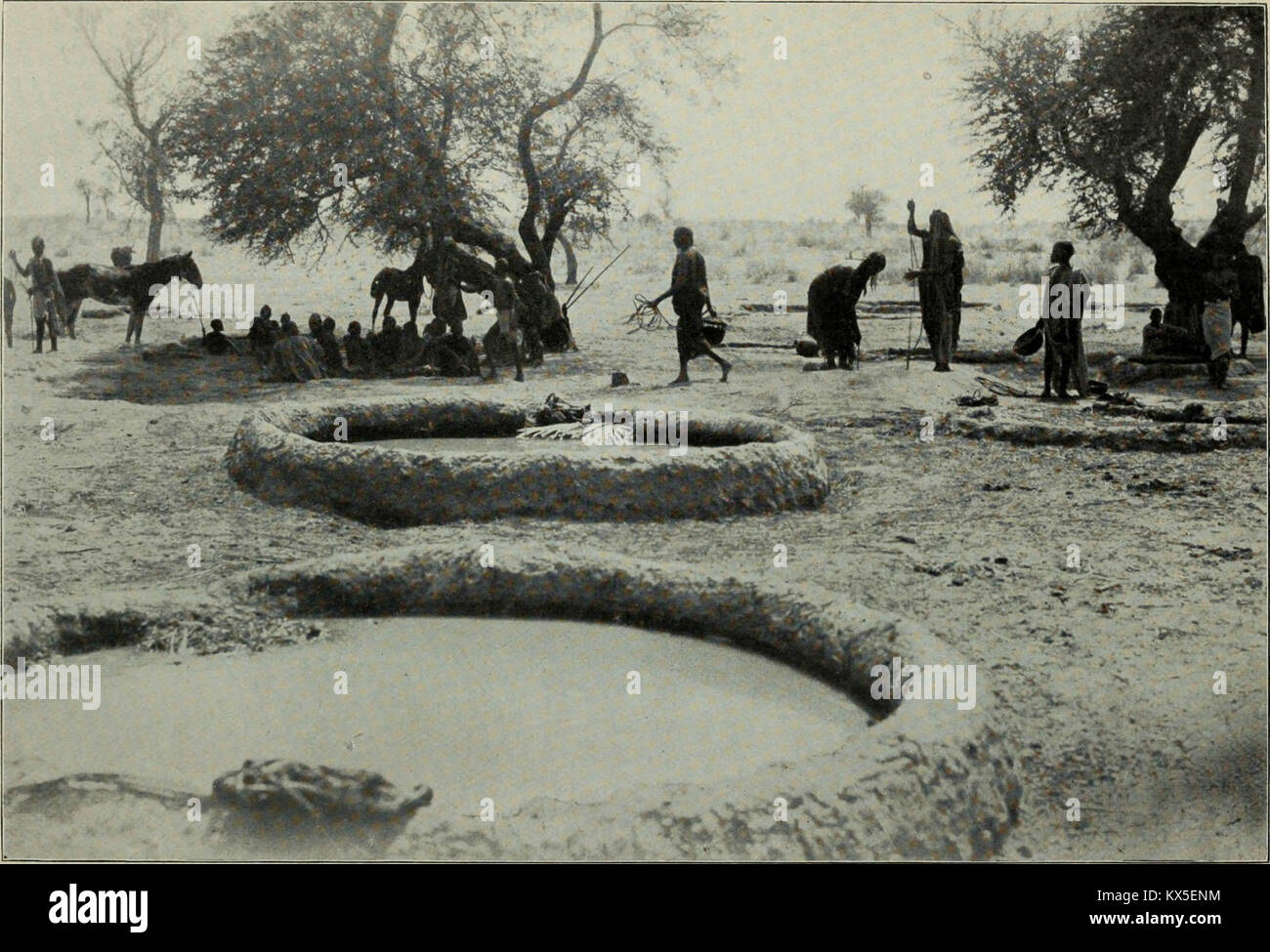 "From the Congo to the Niger and the Nile : an account of The German ...