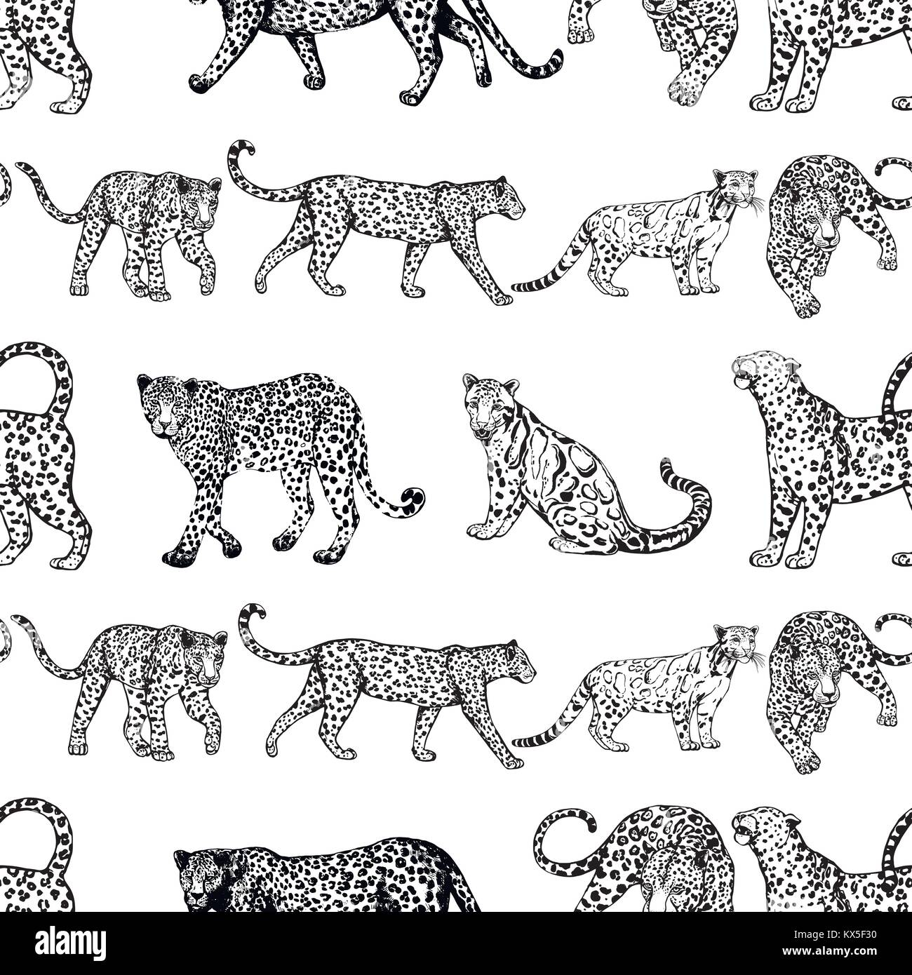 Seamless pattern of sketch style leopards. Vector illustration isolated ...