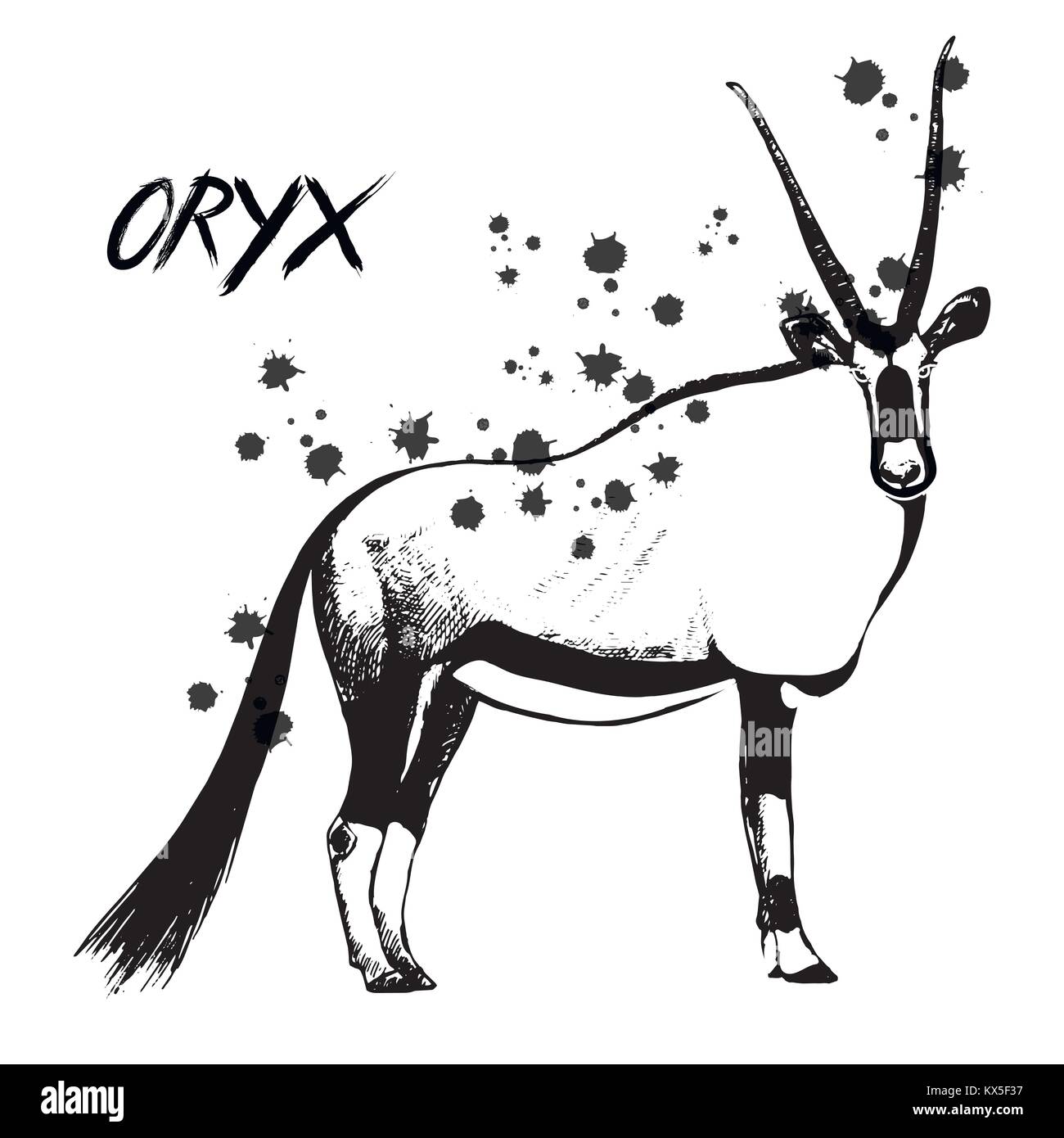 Oryx Drawing