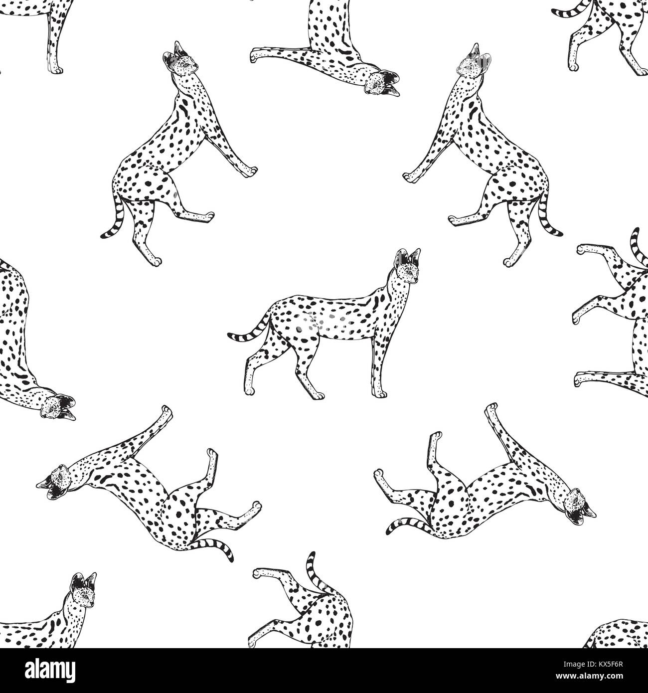 Seamless pattern of hand drawn sketch style serval. Vector illustration ...