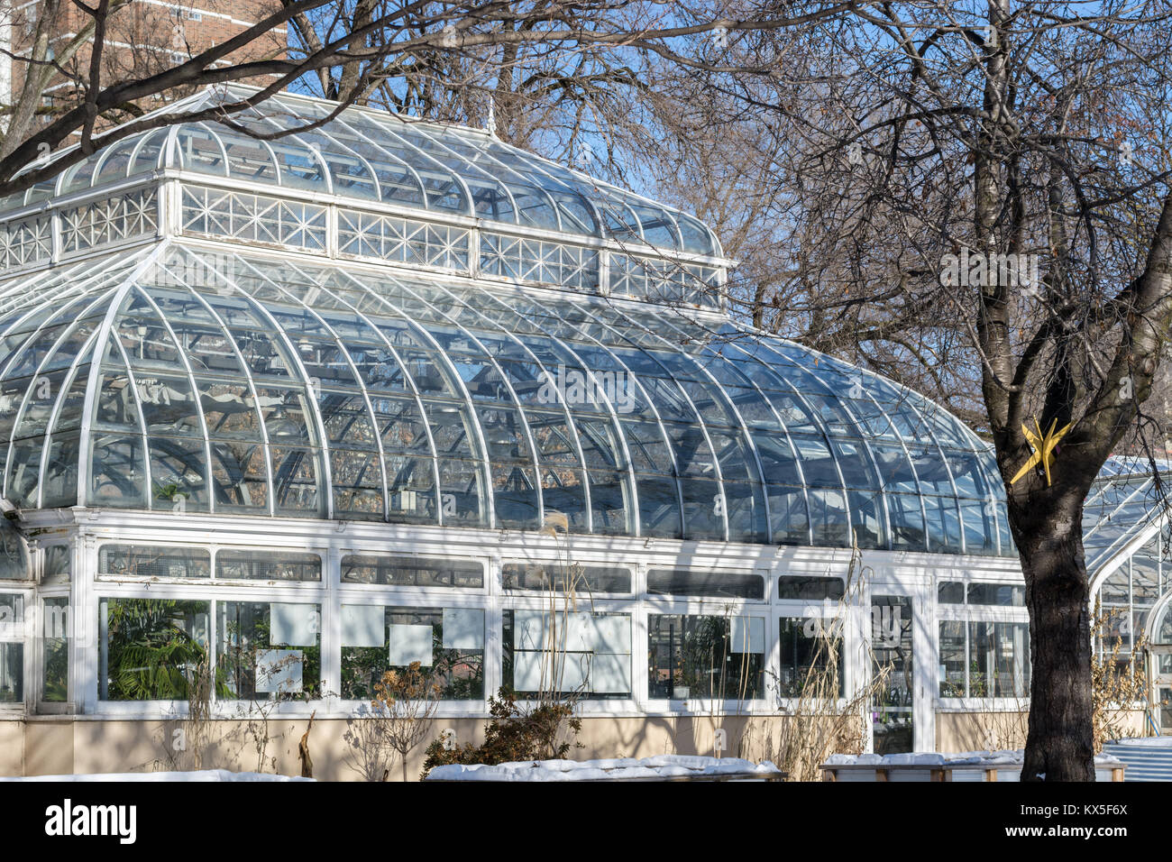 Allan Gardens Horticultural Building Toronto Ontario Stock Photo - Alamy