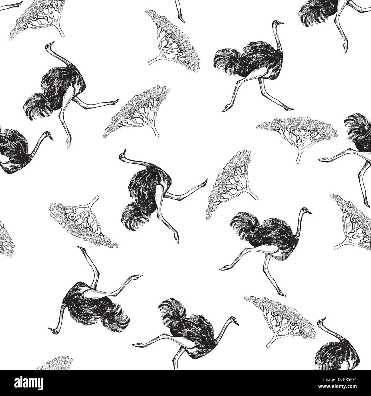 Seamless pattern of hand drawn sketch style ostrich. Vector ...