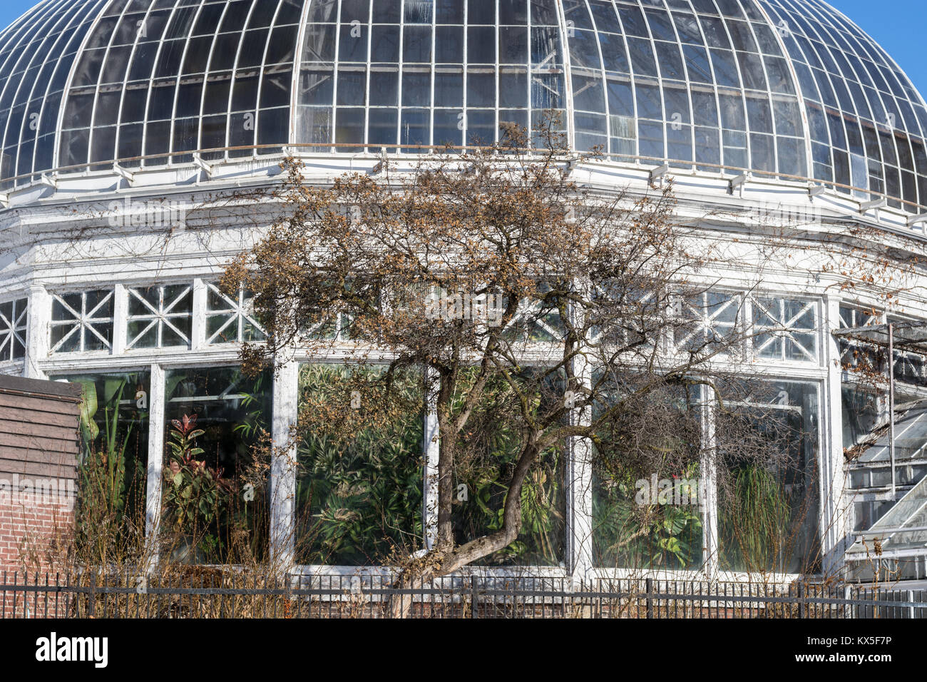 Allan Gardens Horticultural Building Toronto Ontario Stock Photo - Alamy