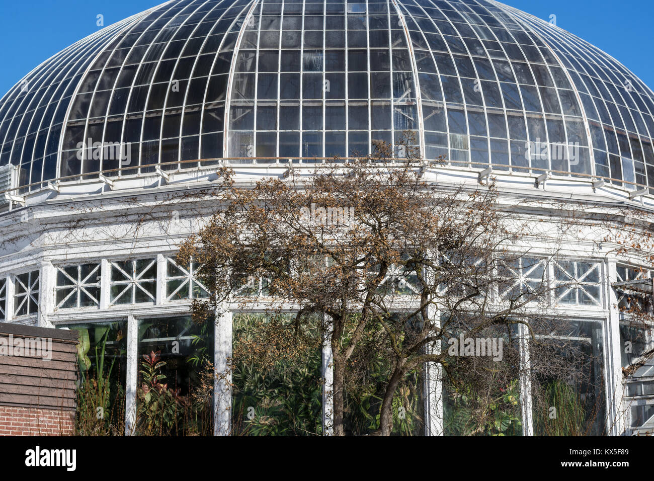 Allan gardens hi-res stock photography and images - Alamy