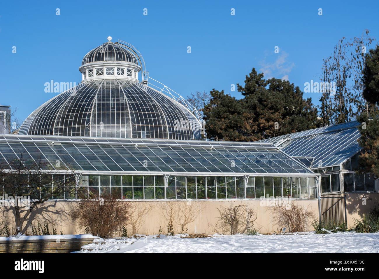 Allan Gardens Horticultural Building Toronto Ontario Stock Photo - Alamy