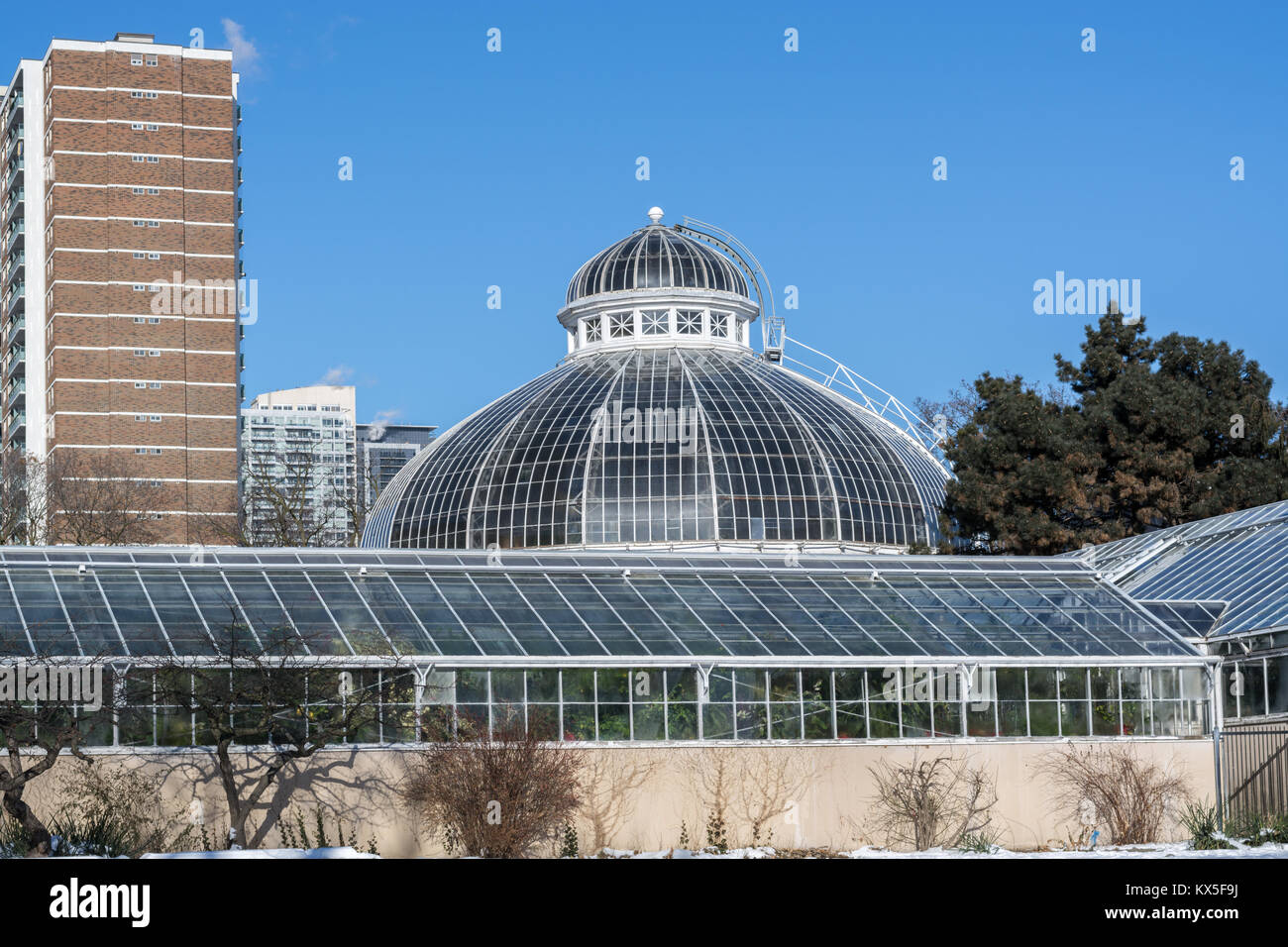 Allan Gardens Horticultural Building Toronto Ontario Stock Photo - Alamy