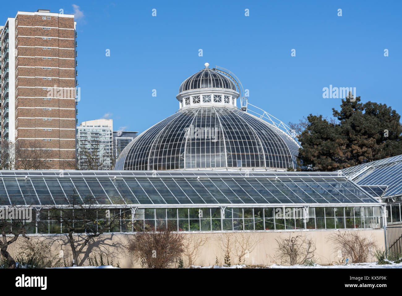 Allan Gardens Horticultural Building Toronto Ontario Stock Photo - Alamy