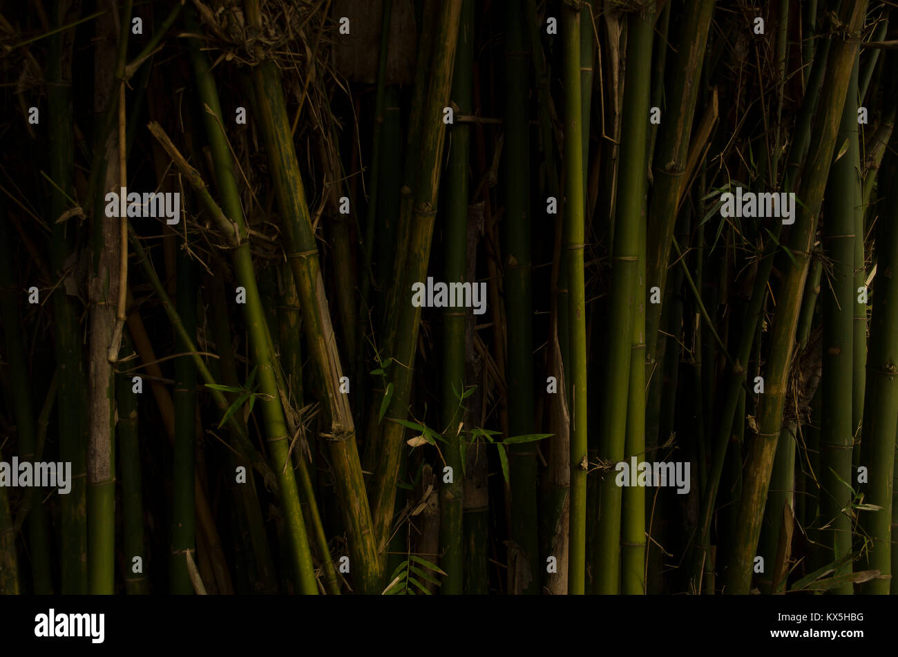 Natural texture wallpaper Stock Photo - Alamy