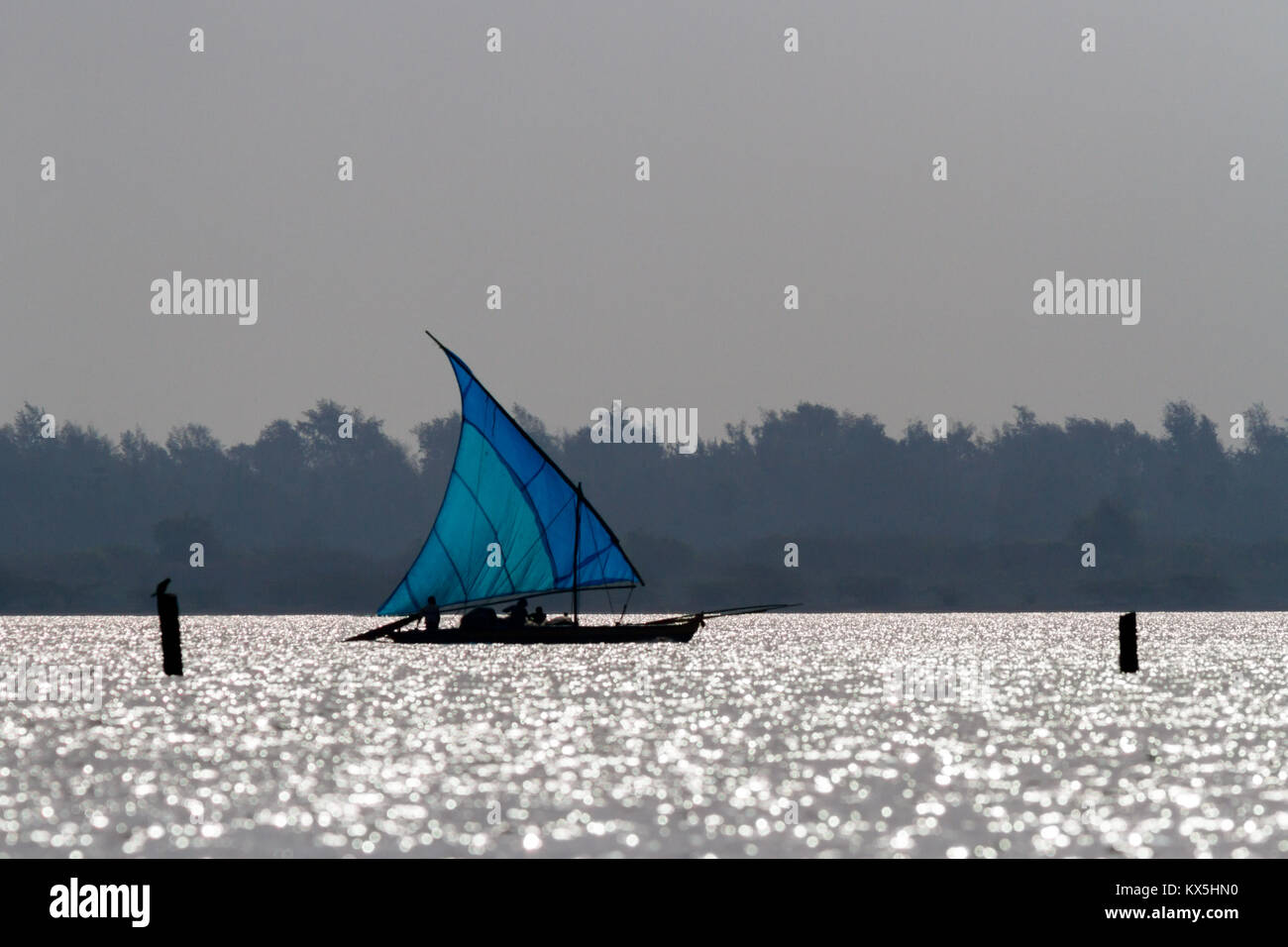 Fishing boat with blue colored sailing cloth in the backwaters of ...