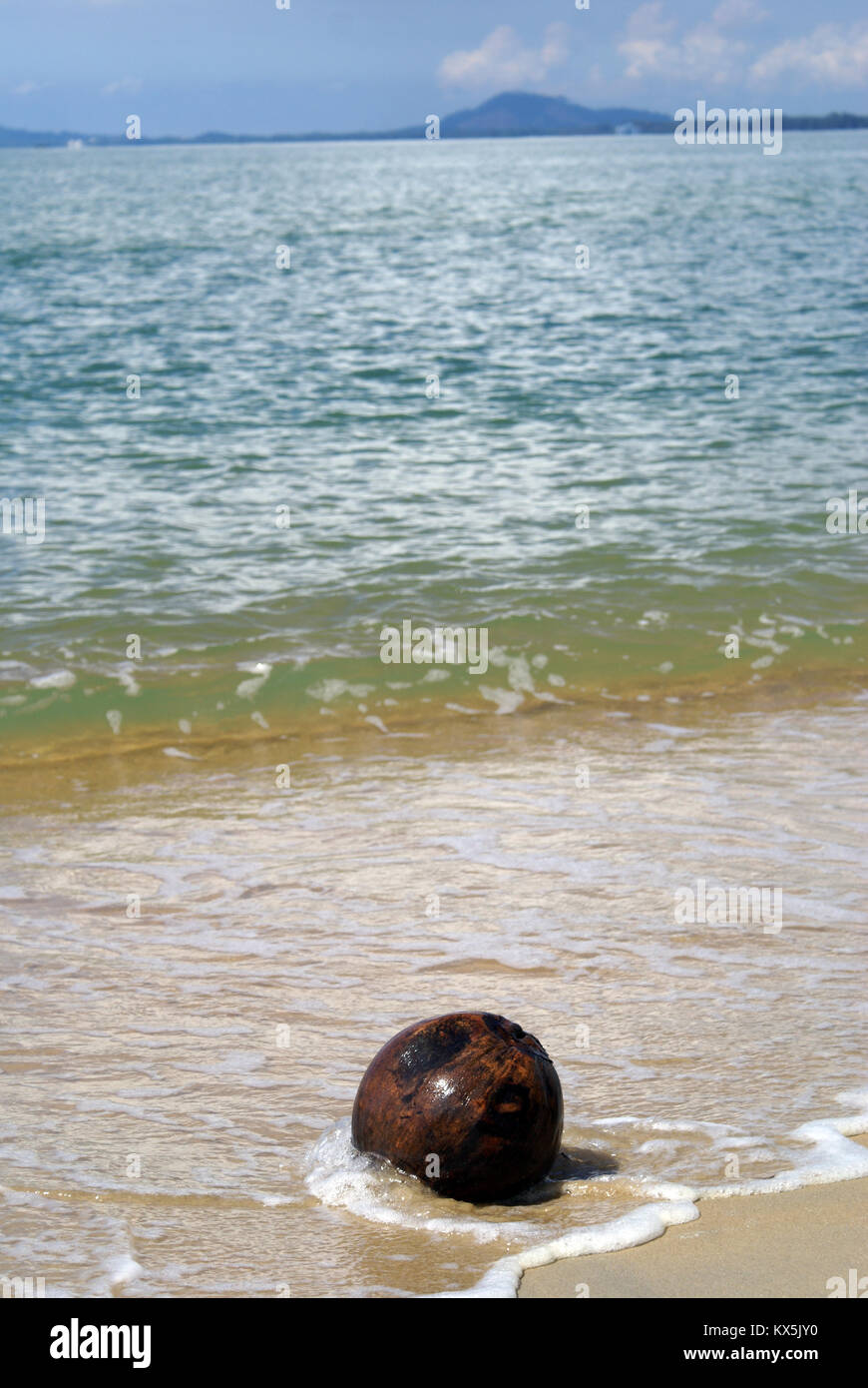 Coconut and wave on the beach, Malaysia Stock Photo - Alamy