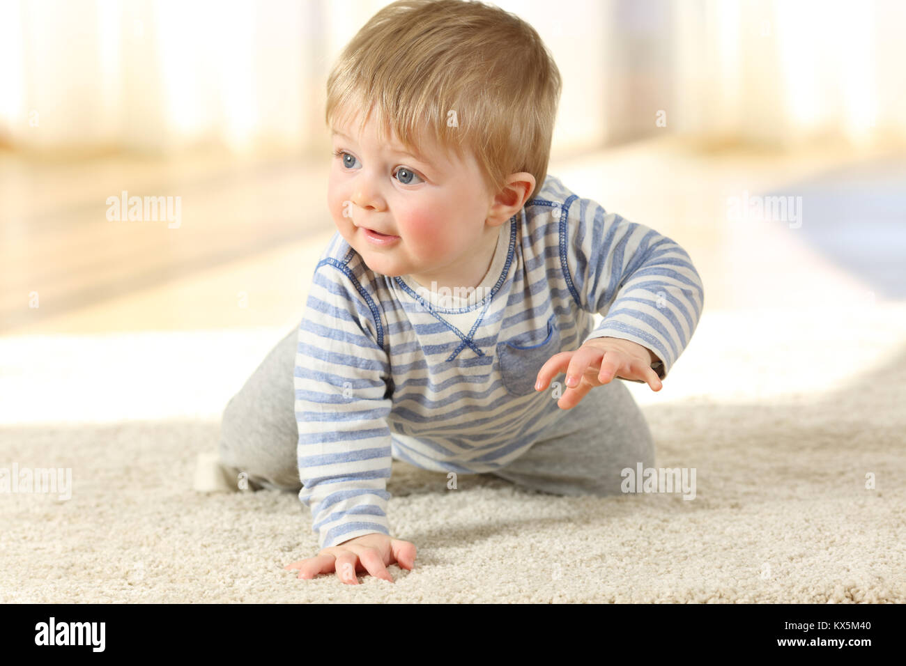 Front view portrait of a distracted baby crawling on a carpet at home ...