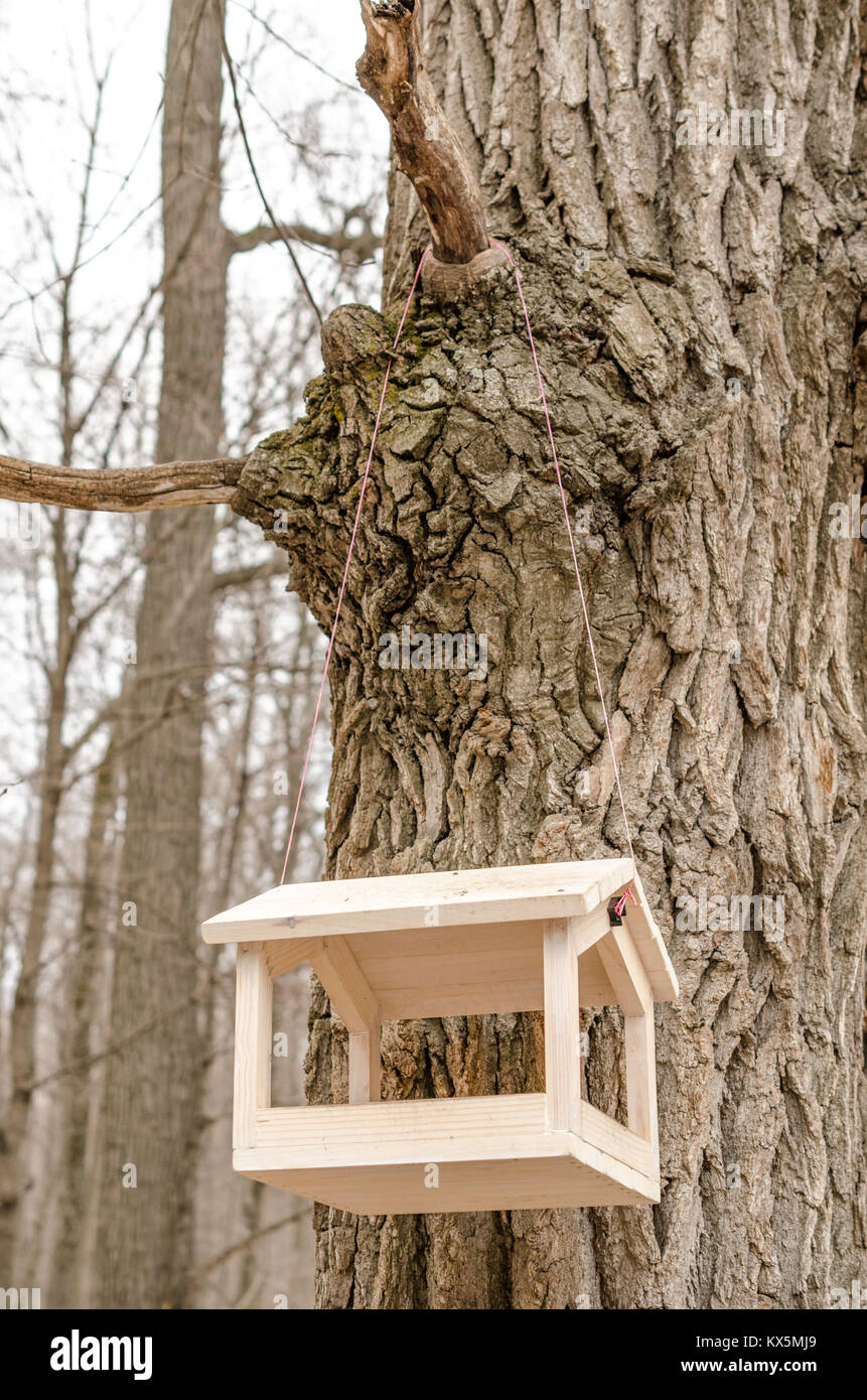 Hand made bird house hanging on a tree trunk Stock Photo - Alamy