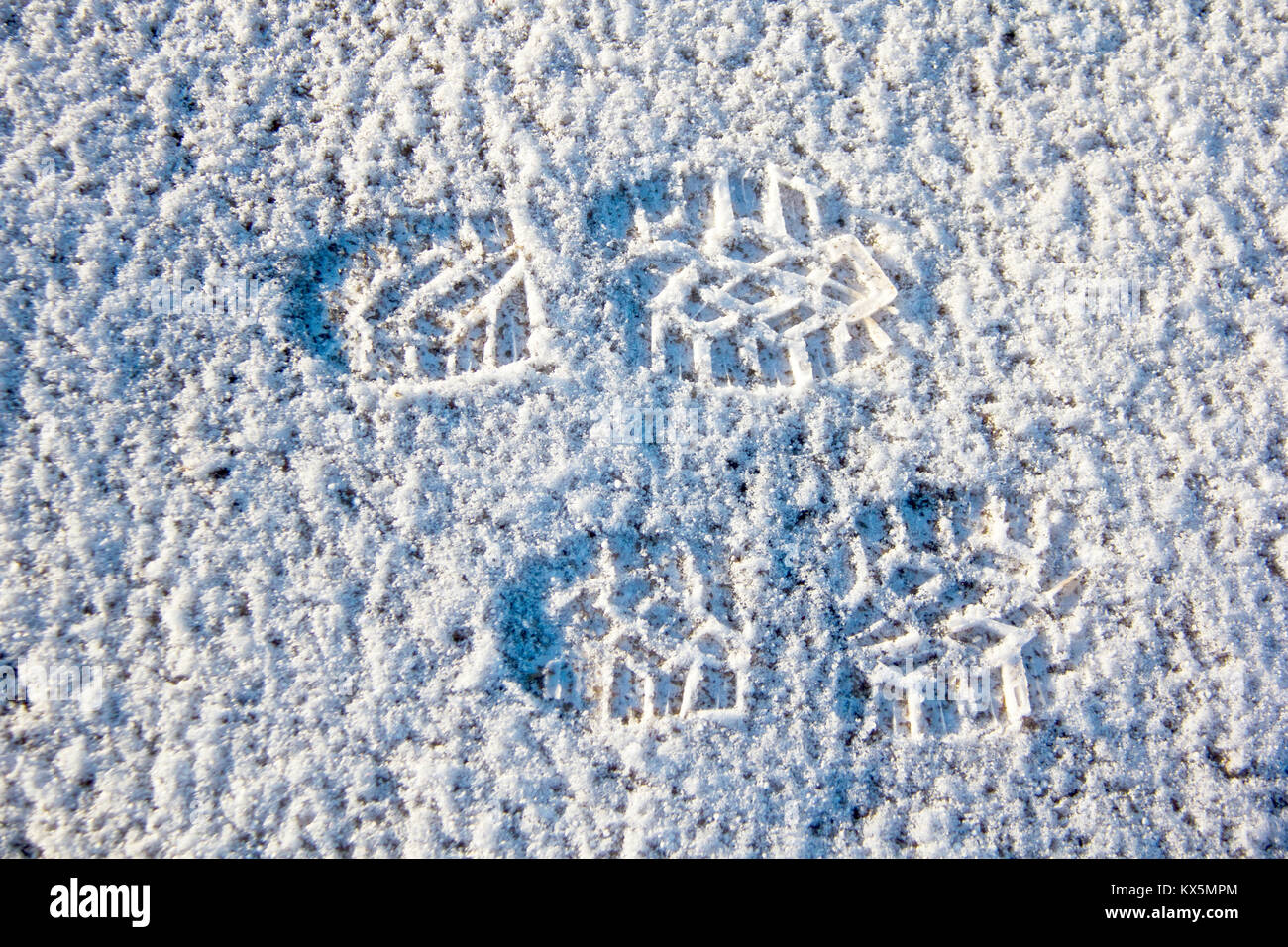 shoe boots footprints texture in the snow Stock Photo - Alamy