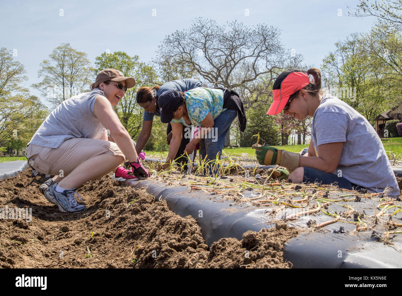 Volunteers from local businesses and organizations who volunteered to ...