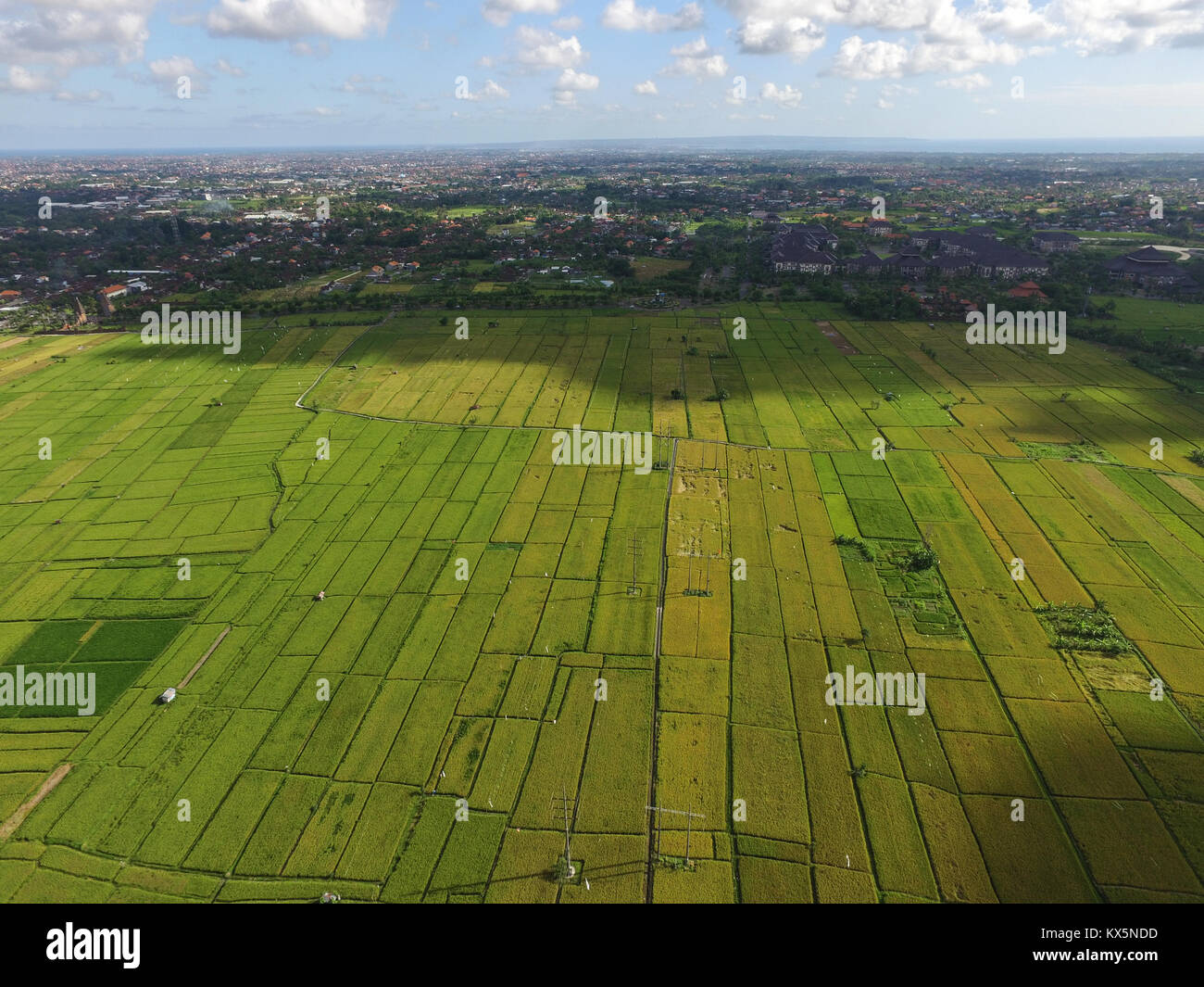 Edge of rice field hi-res stock photography and images - Alamy