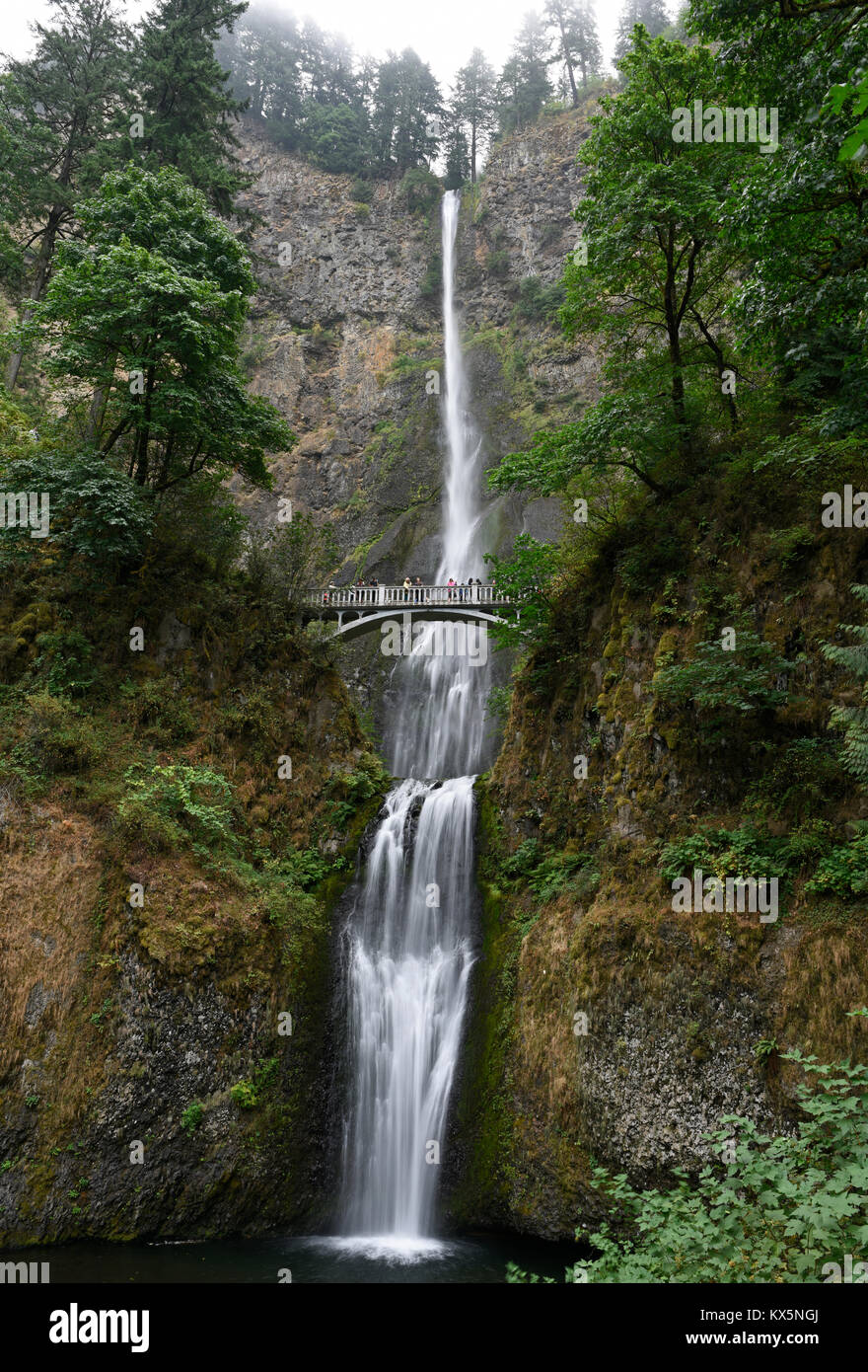 Multnomah waterfall along the Columbia River Gorge, Oregon, United ...