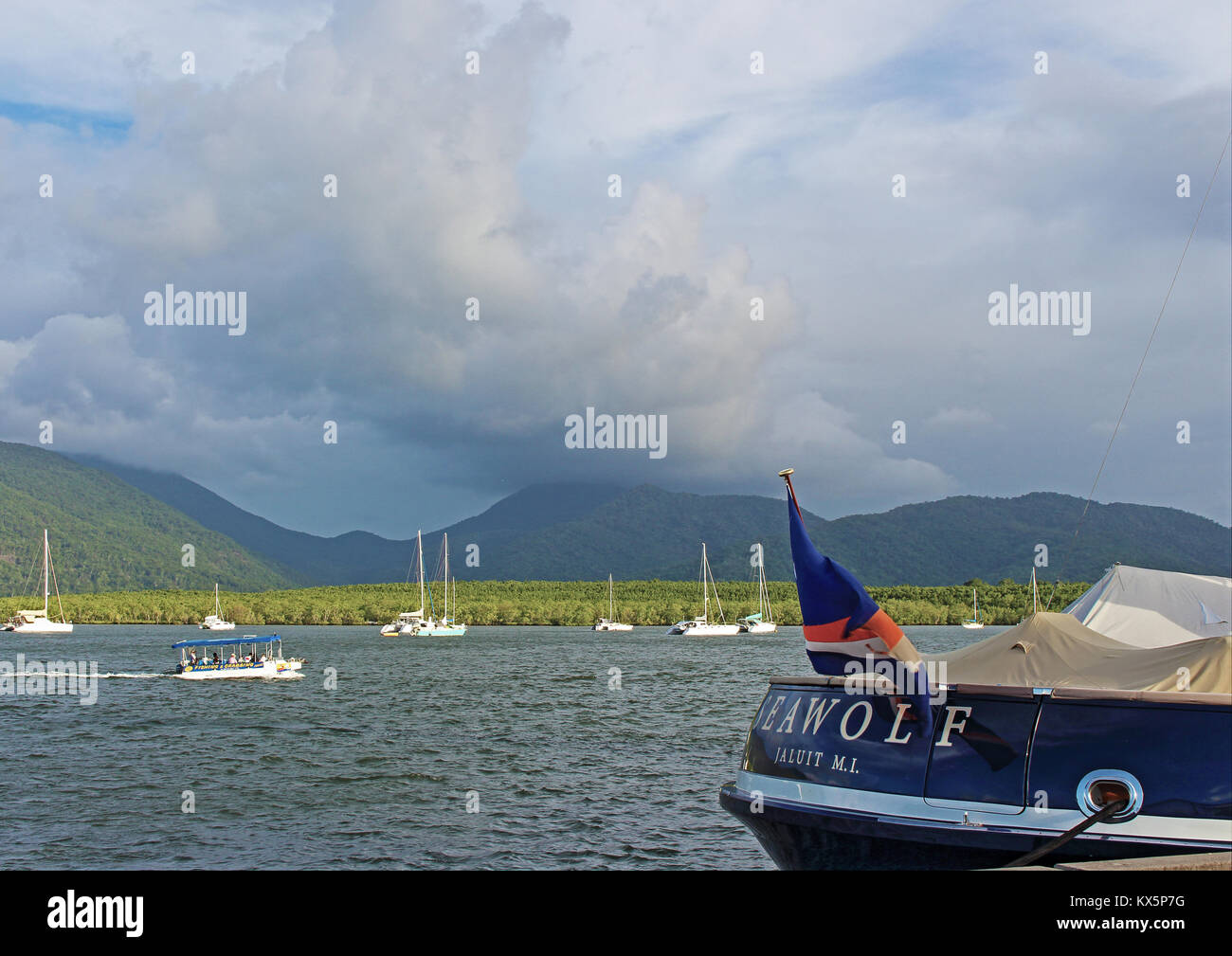 The view across Trinity Inlet at dusk from the quay at Marlin Marina in ...