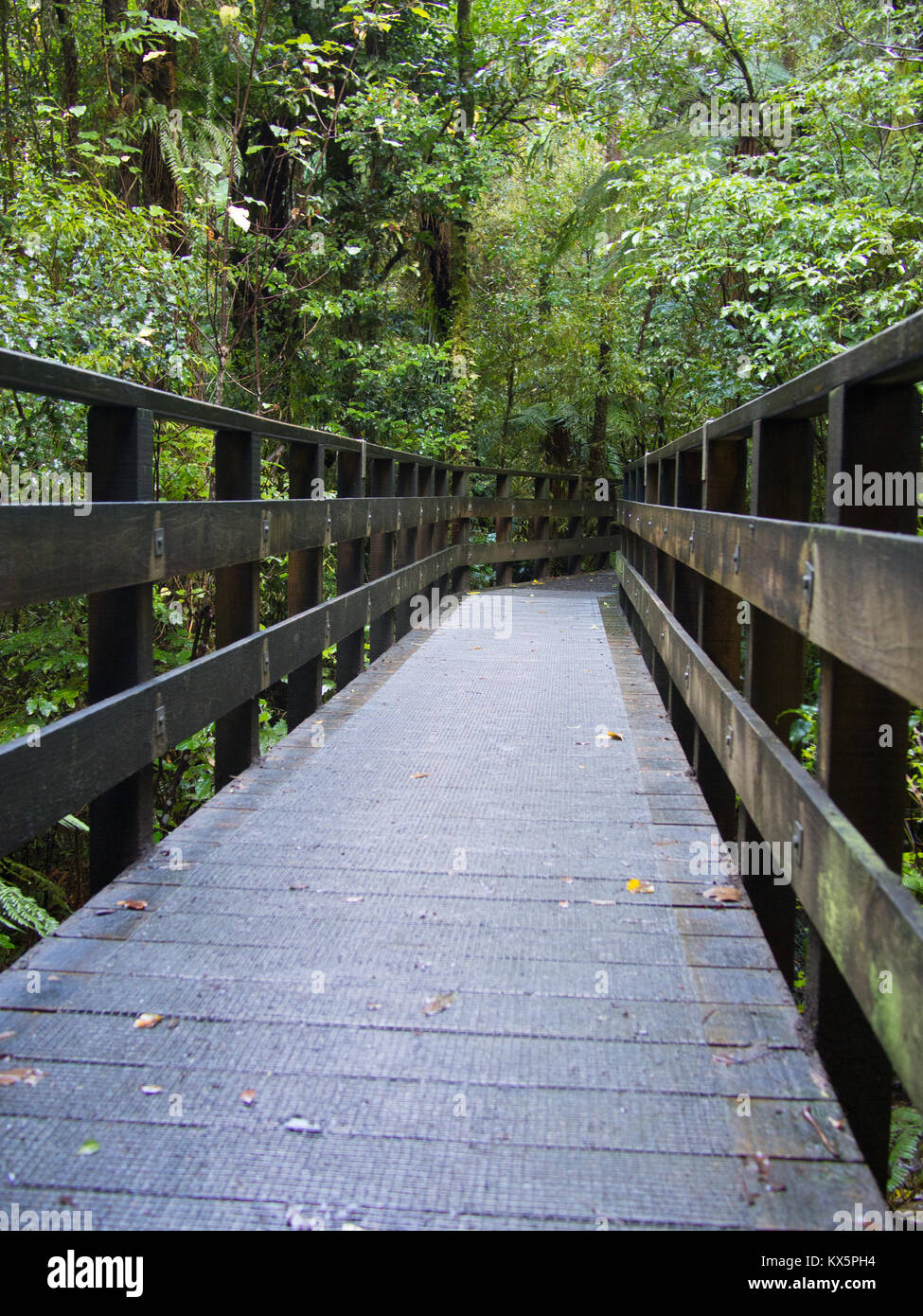 Bush Walk Footbridge Stock Photo - Alamy