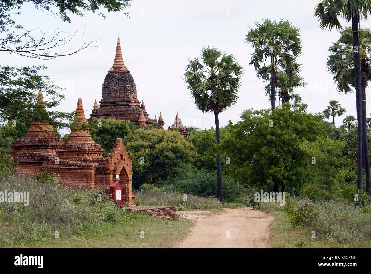 Road, palm trees and brick temple in OLd Bagan, Myanmar Stock Photo - Alamy