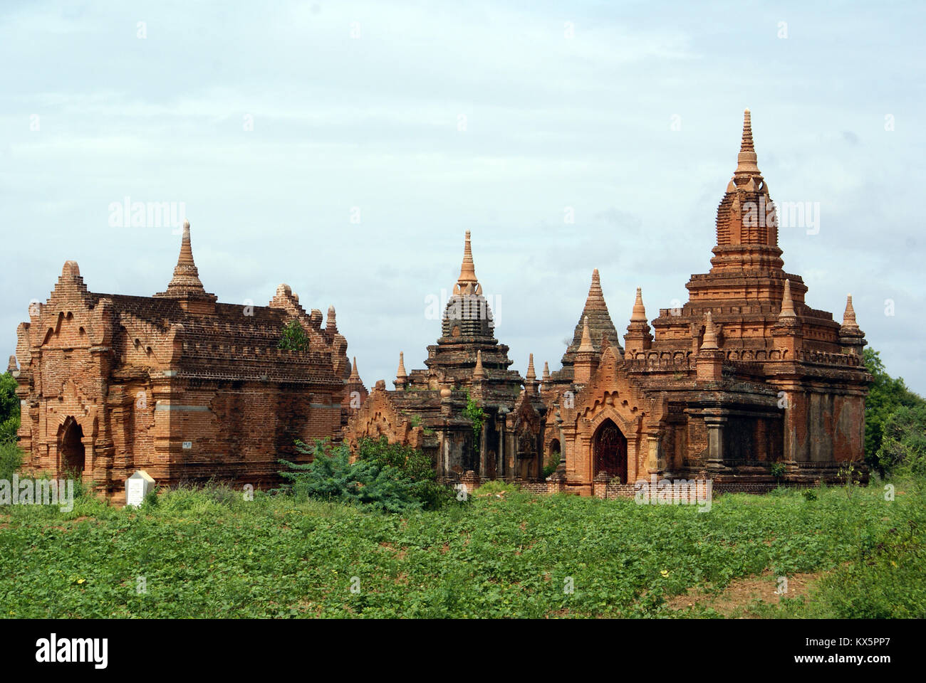 Green grass and old pagodas in Bagan, Myanmar Stock Photo - Alamy