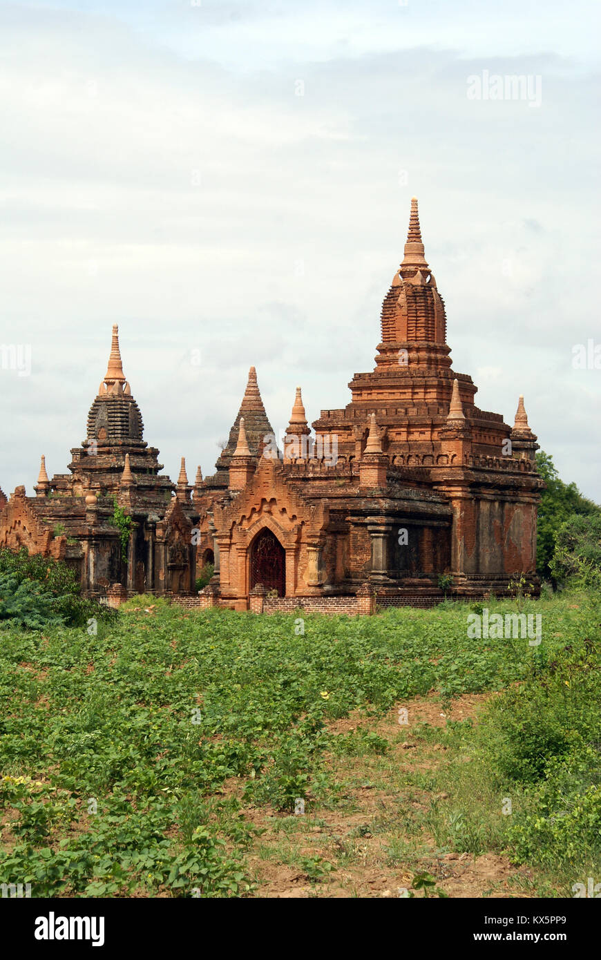 Green grass and red brick pagoda in Bagan, Myanmar Stock Photo - Alamy