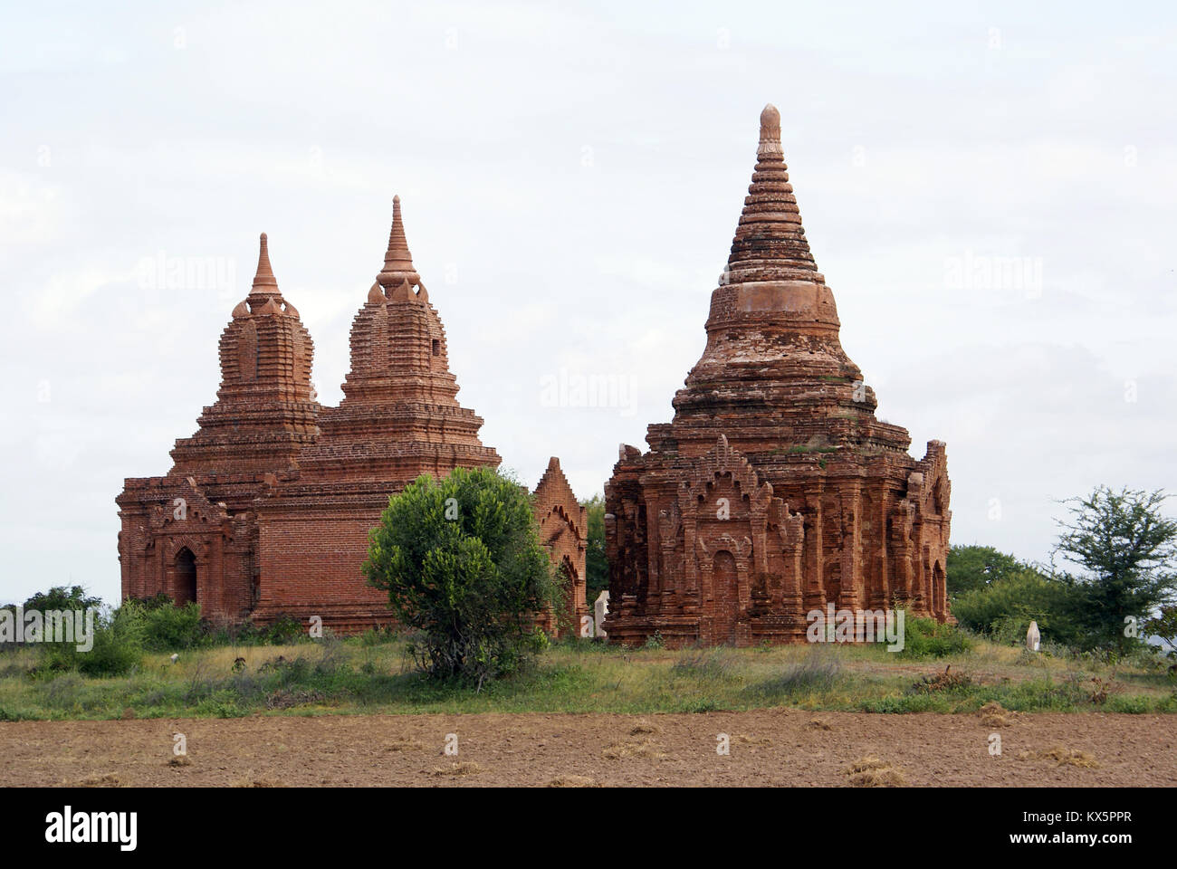 Field and brick pagodas in Bagan, Myanmar Stock Photo - Alamy