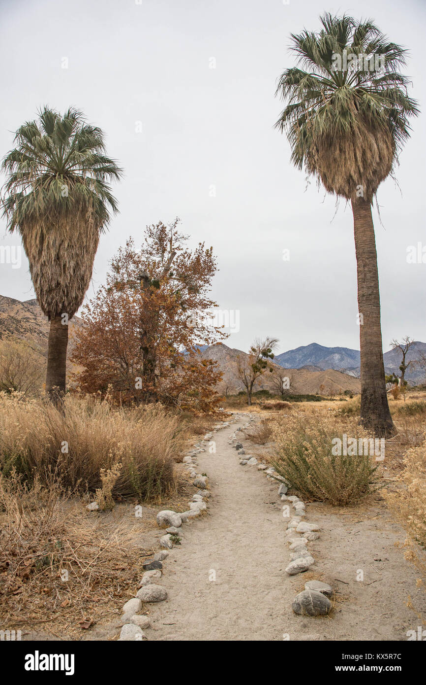 Sand to snow national monument Stock Photo - Alamy