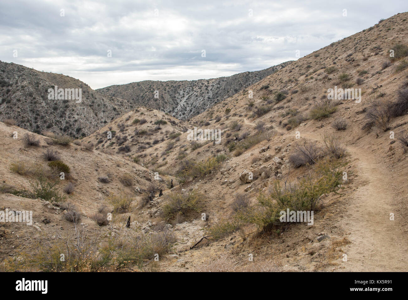 Sand to snow national monument Stock Photo - Alamy