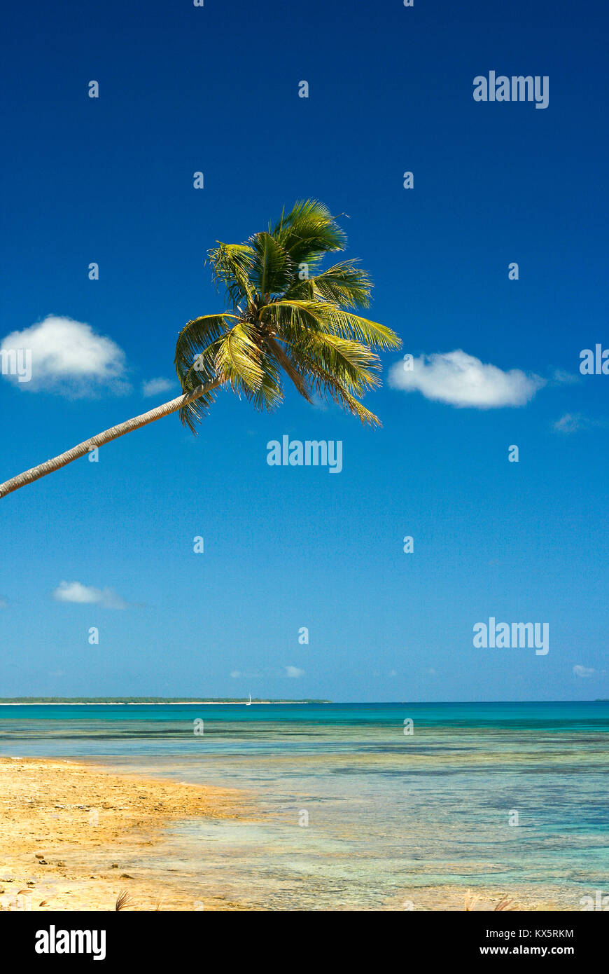 Lifuka island. Ha´apai islands. Tonga. Polynesia Stock Photo - Alamy