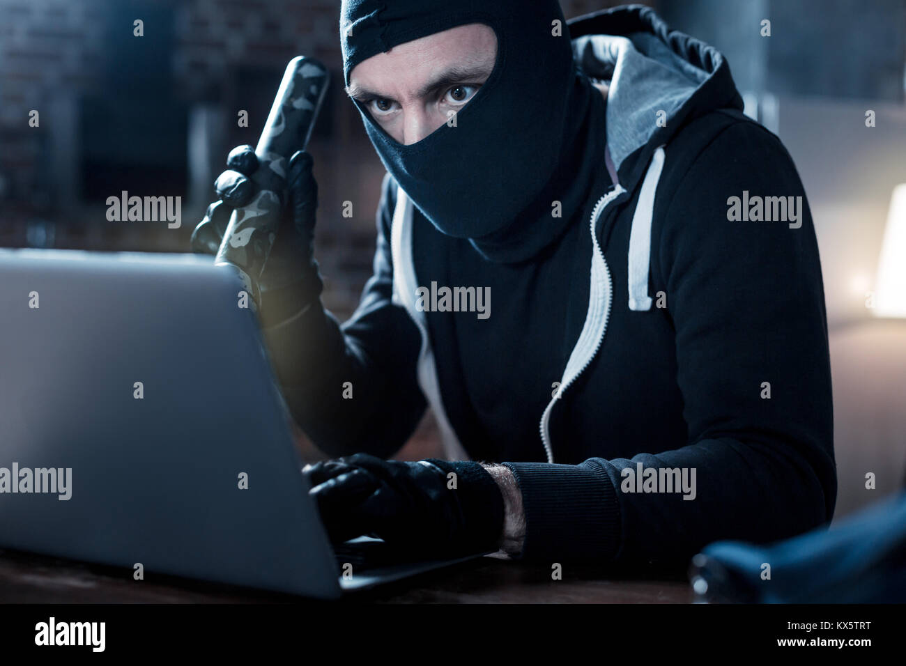 Professional computer hacker stealing data Stock Photo - Alamy